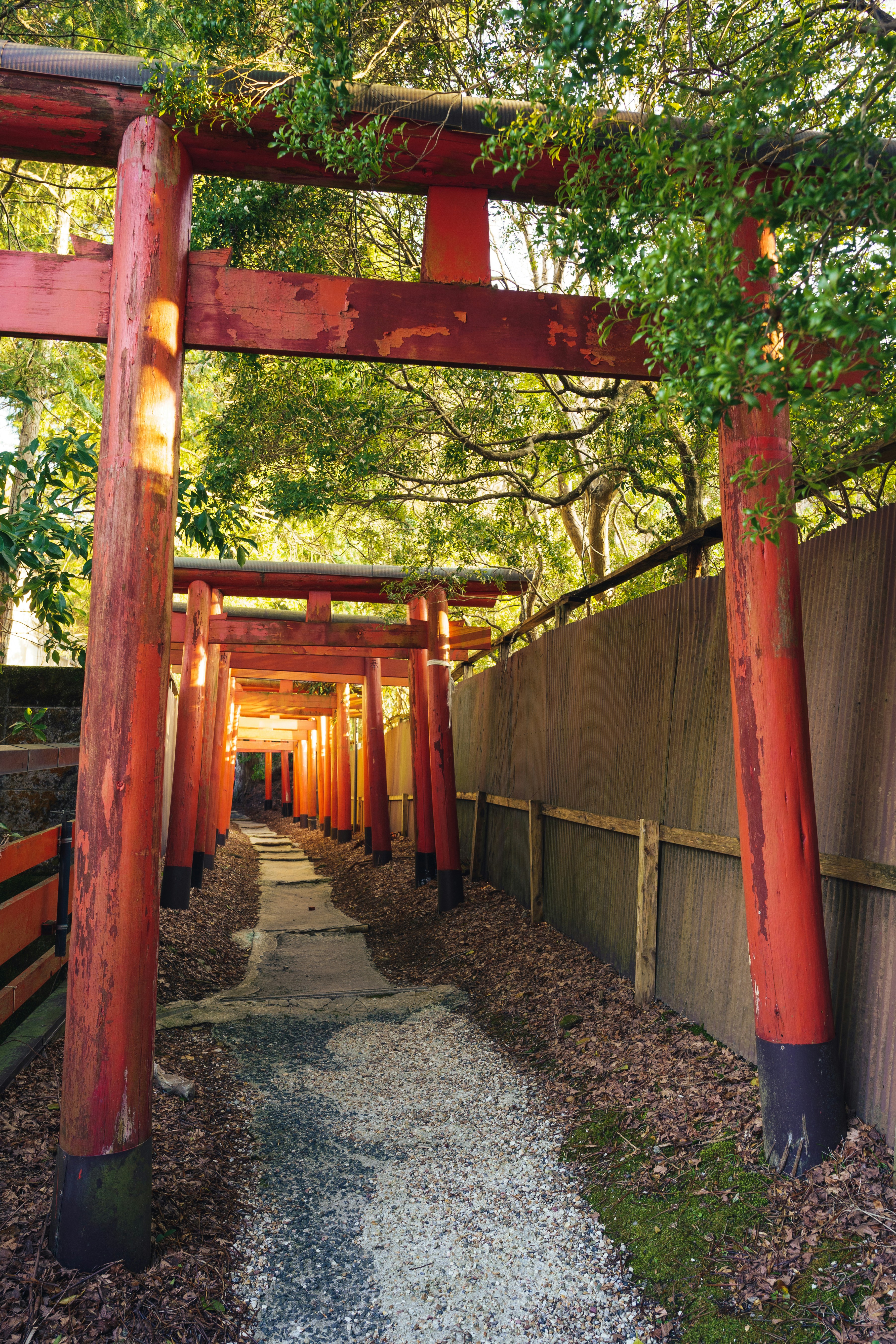 Red Gate Corridor: Torii Tunnel Through Sunlit Greenery