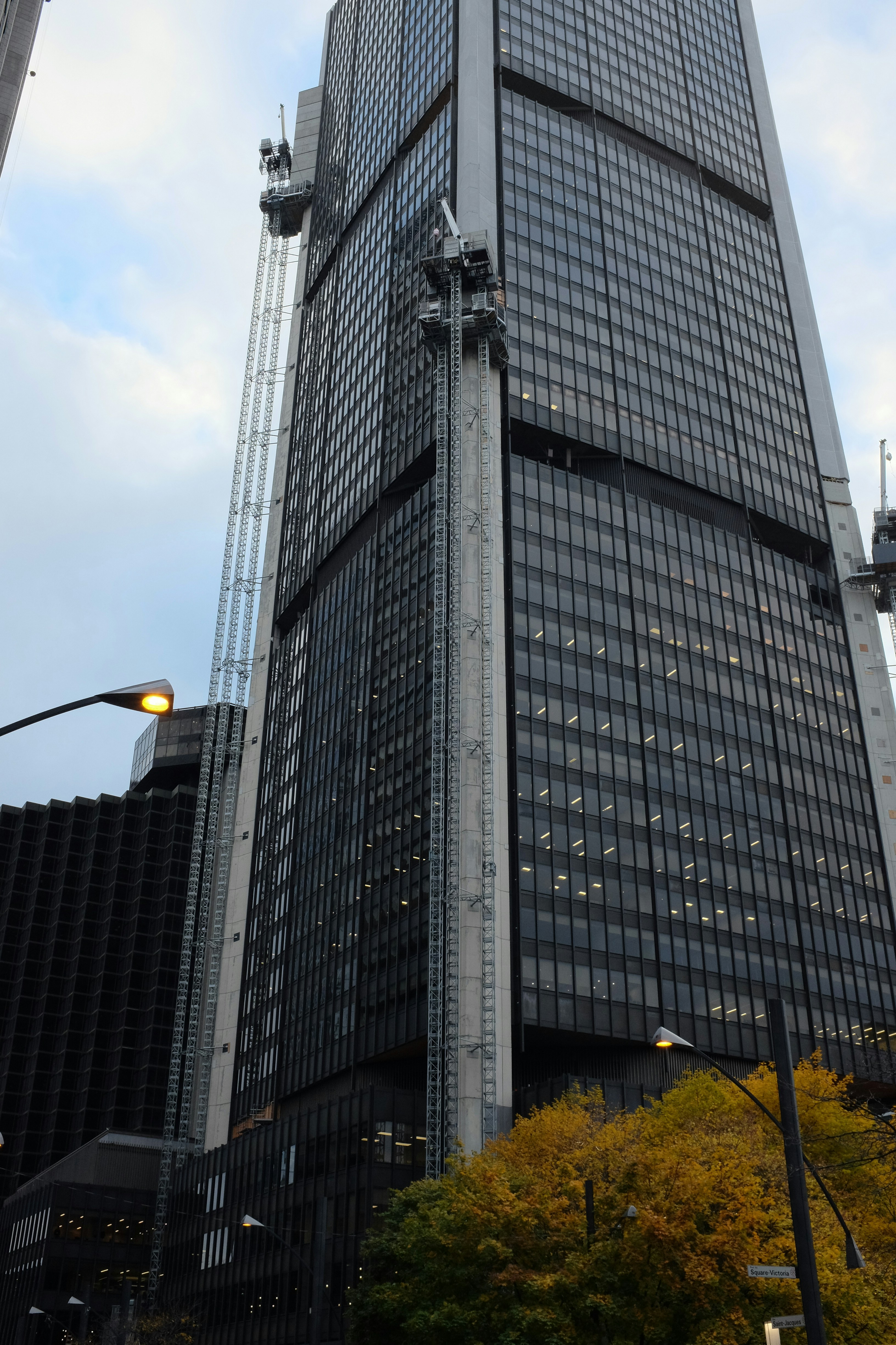 Crane-Lined Skyline: A Tower Rises Under Construction Against Autumn Street Trees