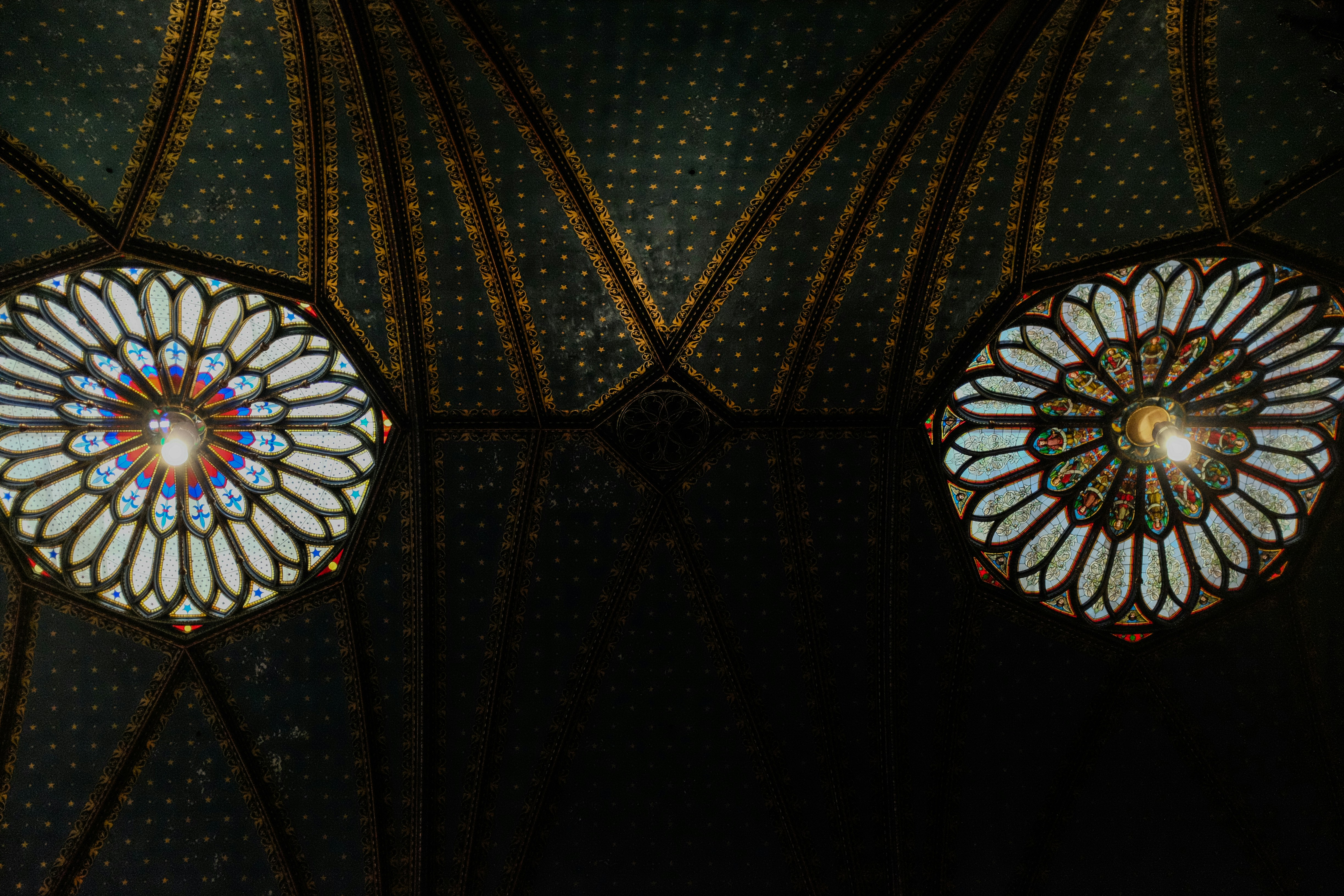 Two Rose Windows Under a Starry Vault