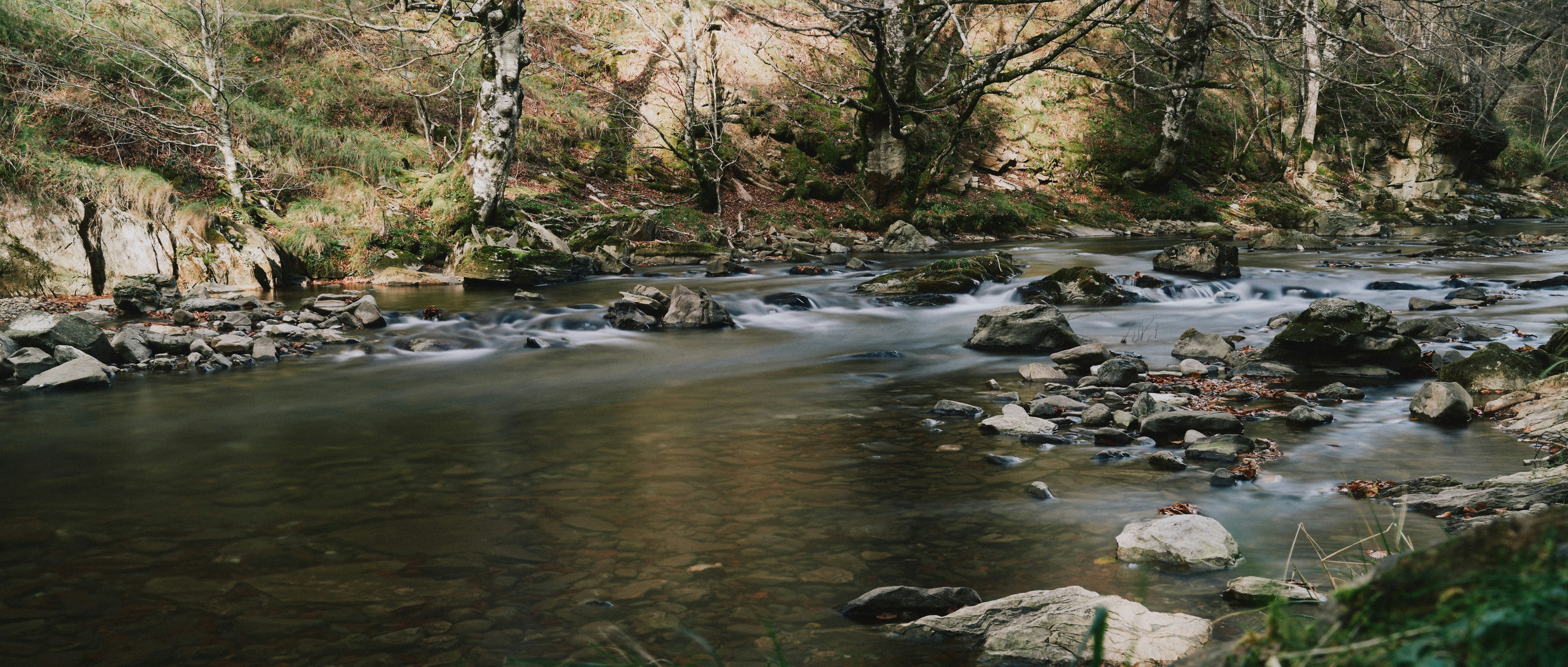 Photo by Alex Caza with Sony Alpha 7C II