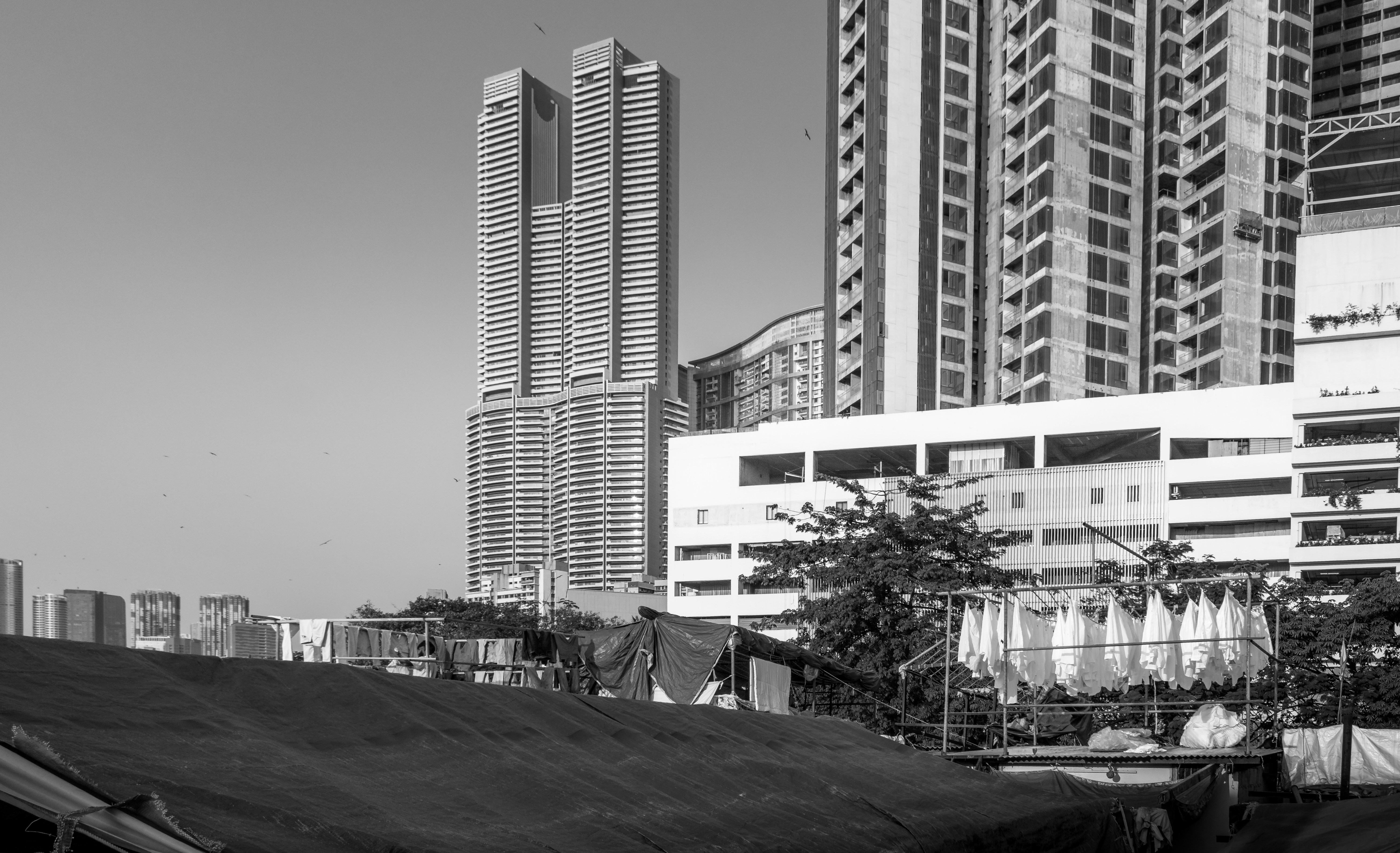 Twin Towers Above the Market Canopy in Grayscale