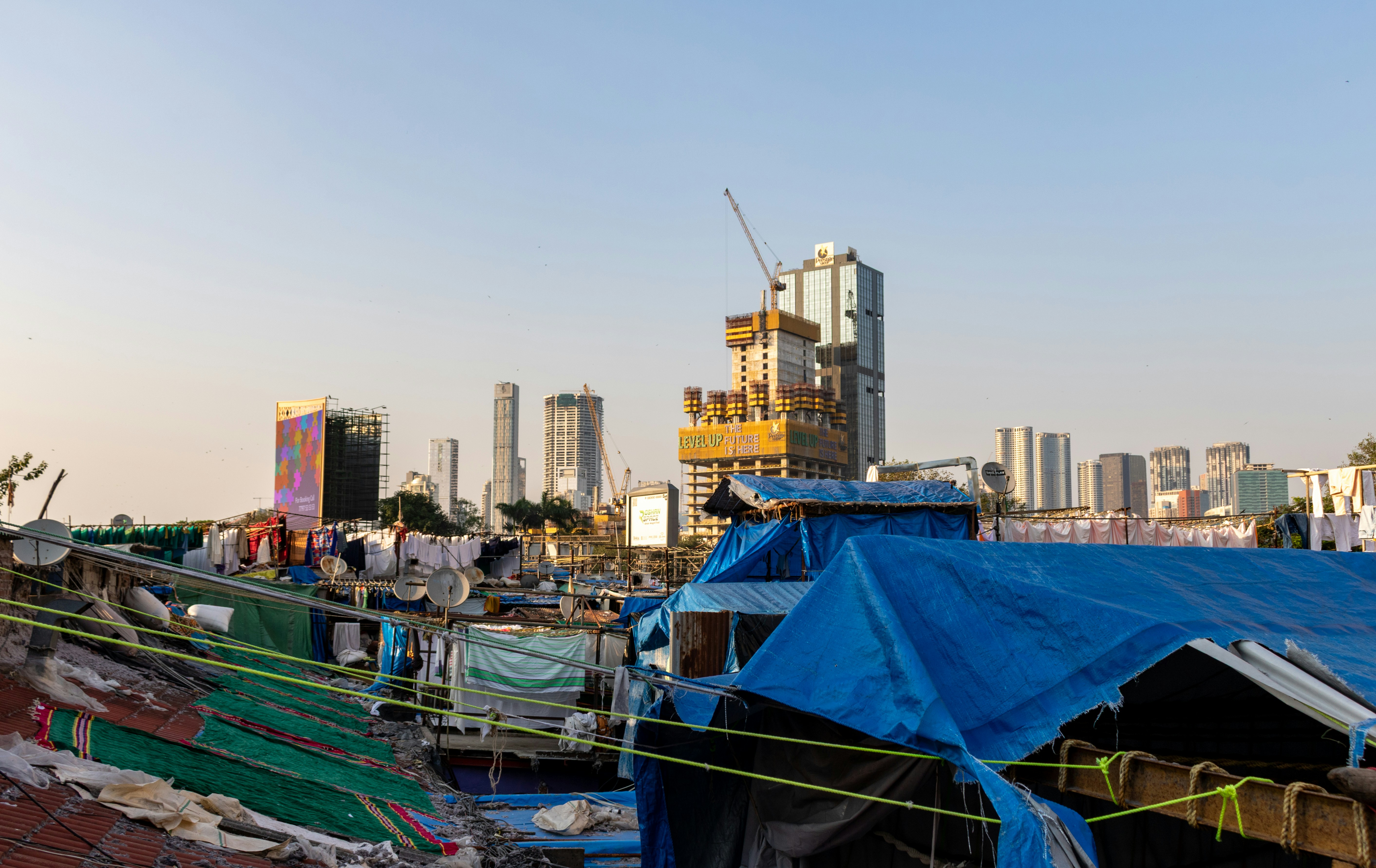 Crane Rising Over a City Skyline