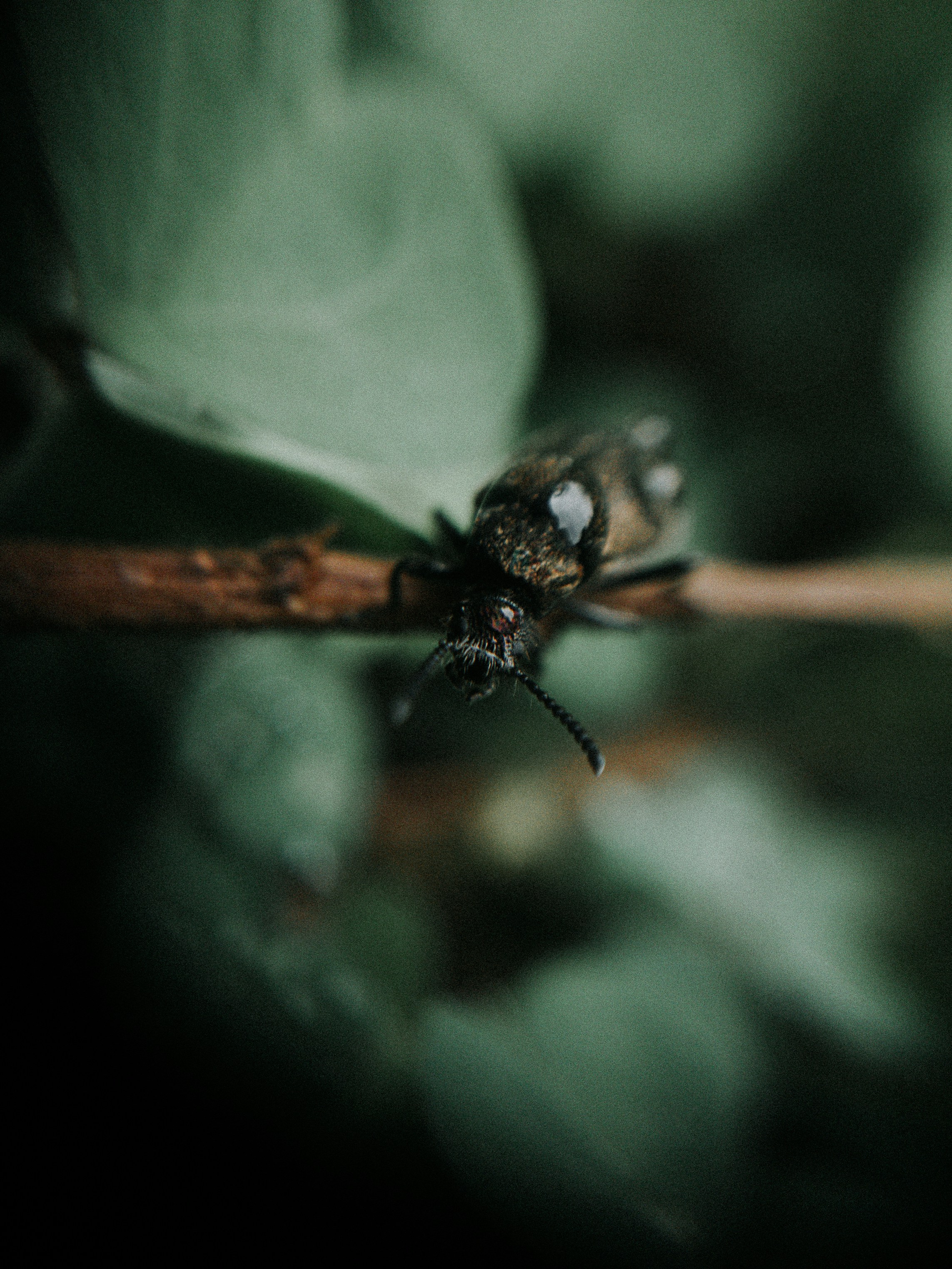 Photo by Igor bispo with Poco X6 Pro