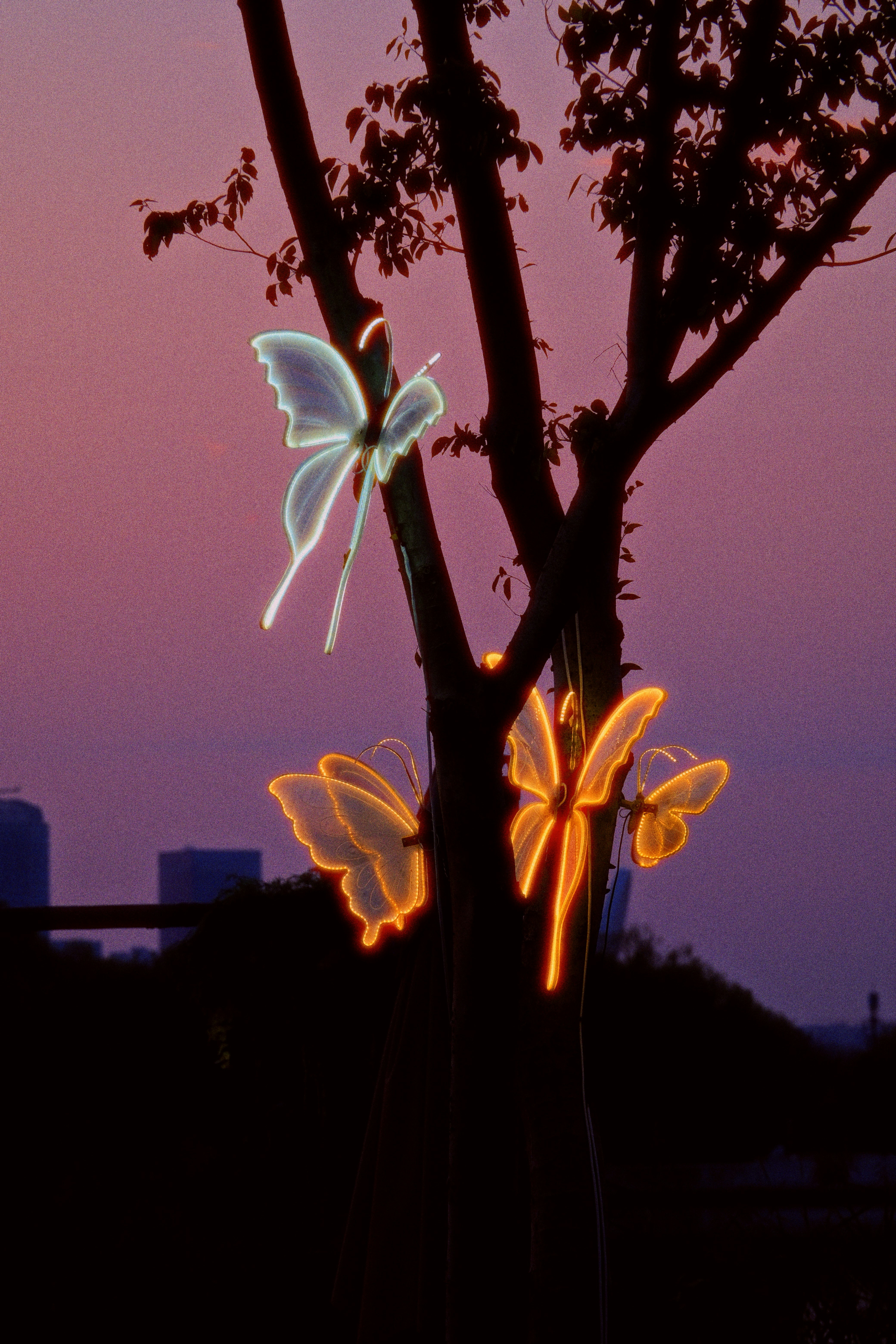 Jimmy Chang (@photohunter) | Komunitas Foto Unsplash