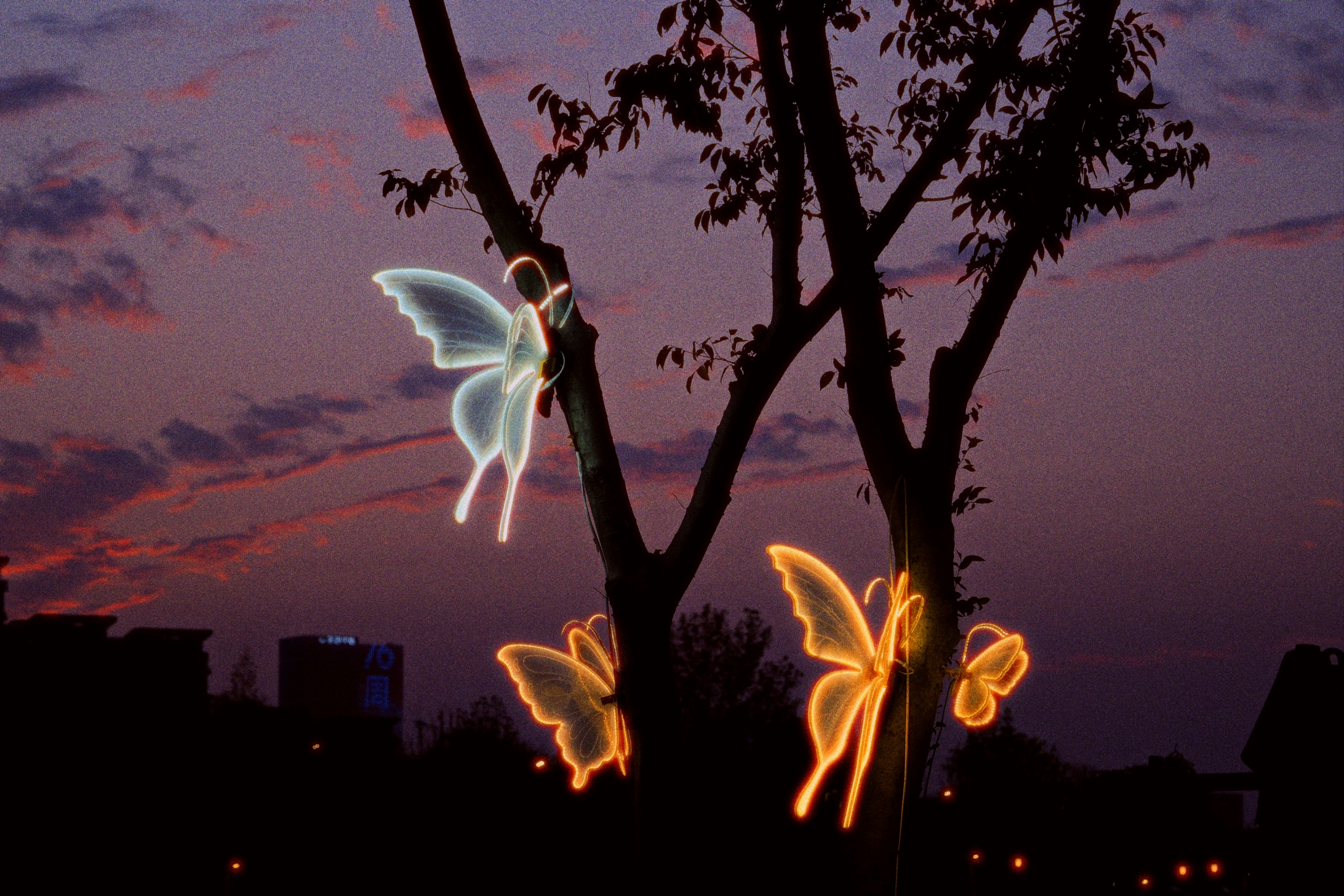 Jimmy Chang (@photohunter) | Komunitas Foto Unsplash