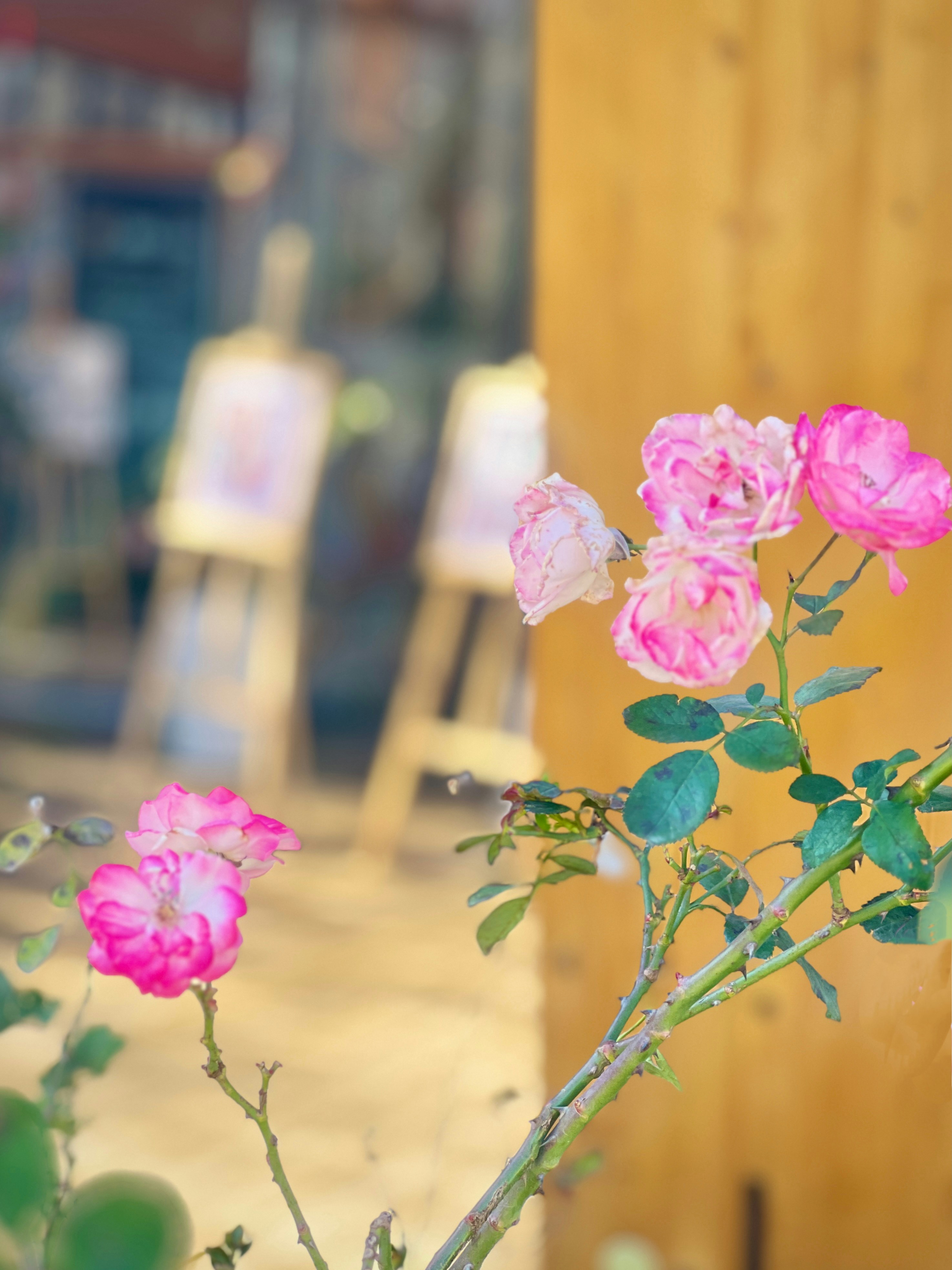 Photo by Leo Liu with Apple iPhone 13 Pro