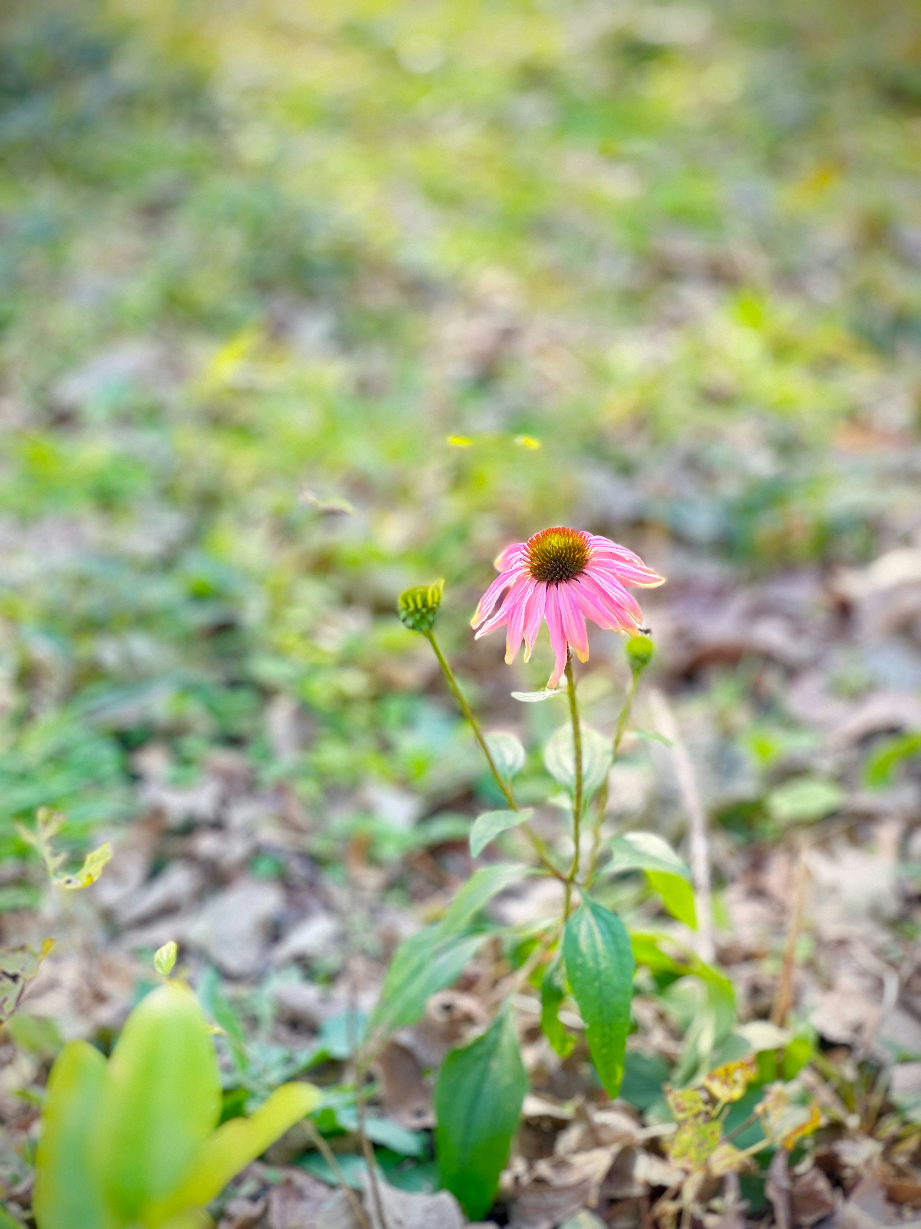 Photo by Leo Liu with Apple iPhone 13 Pro