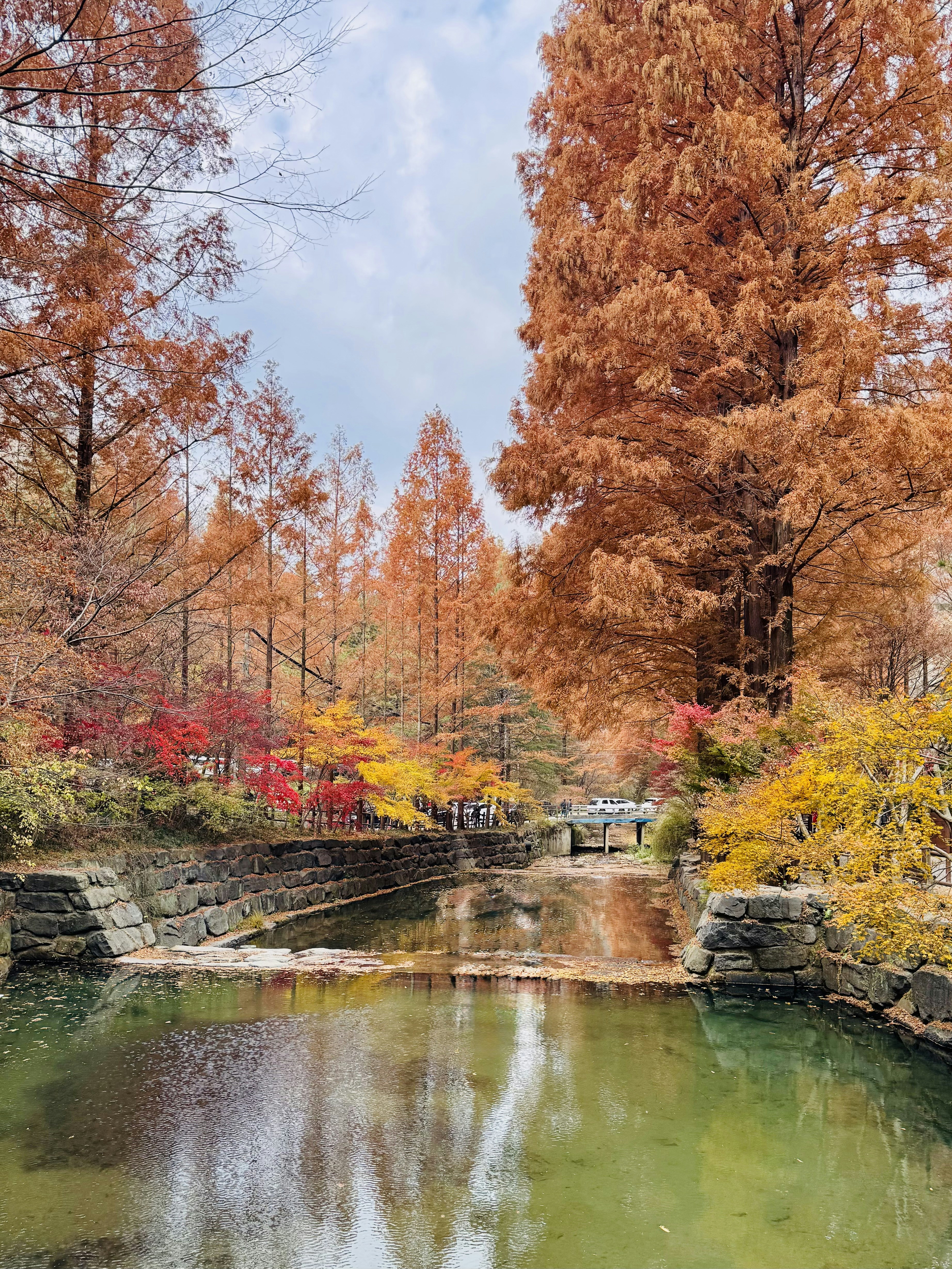 Autumn Towpath: a Stone Bridge Framed by Ember-Tinted Trees