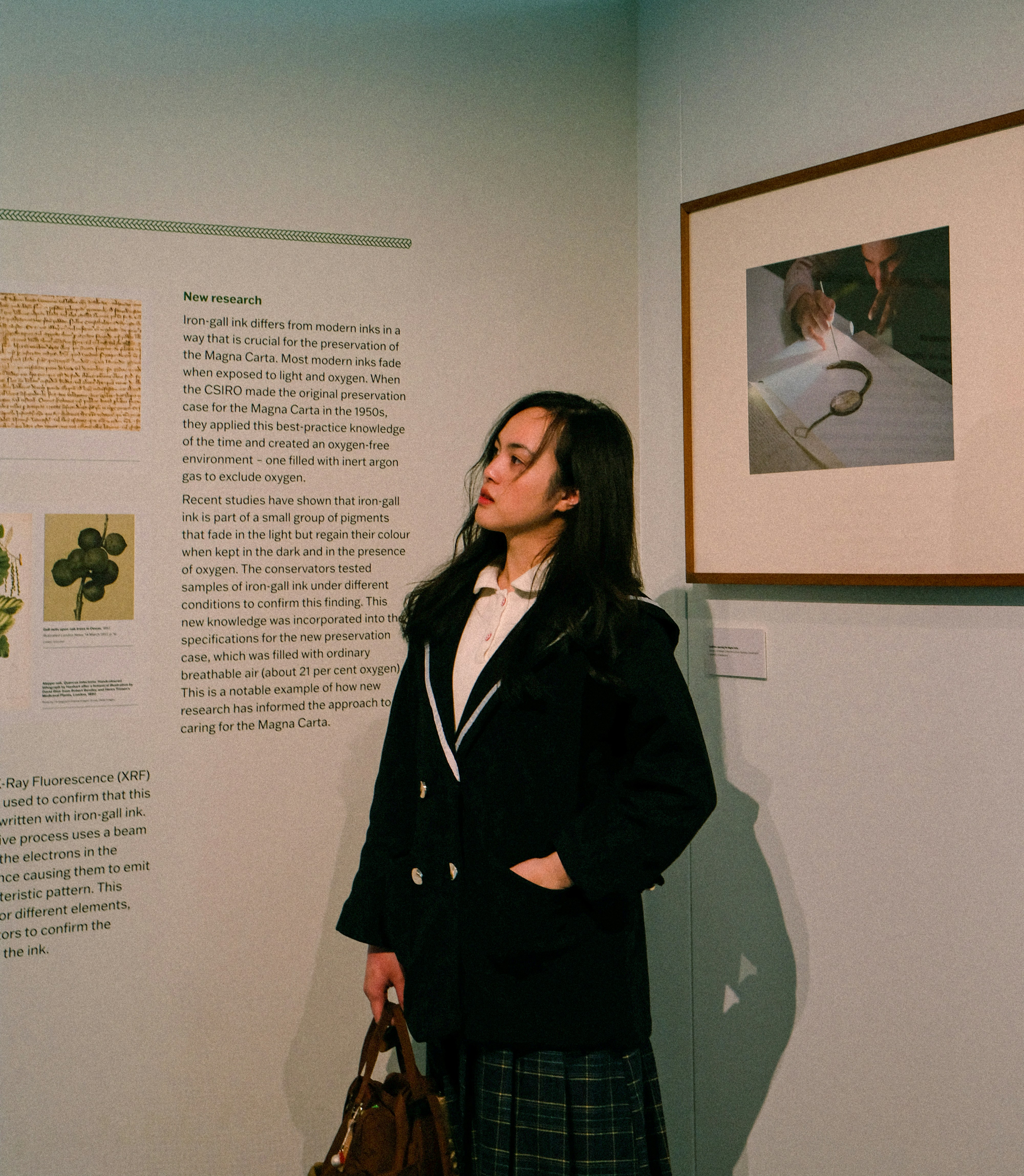 Glimpse in the Gallery: a Quiet Moment Beside the Wall Text