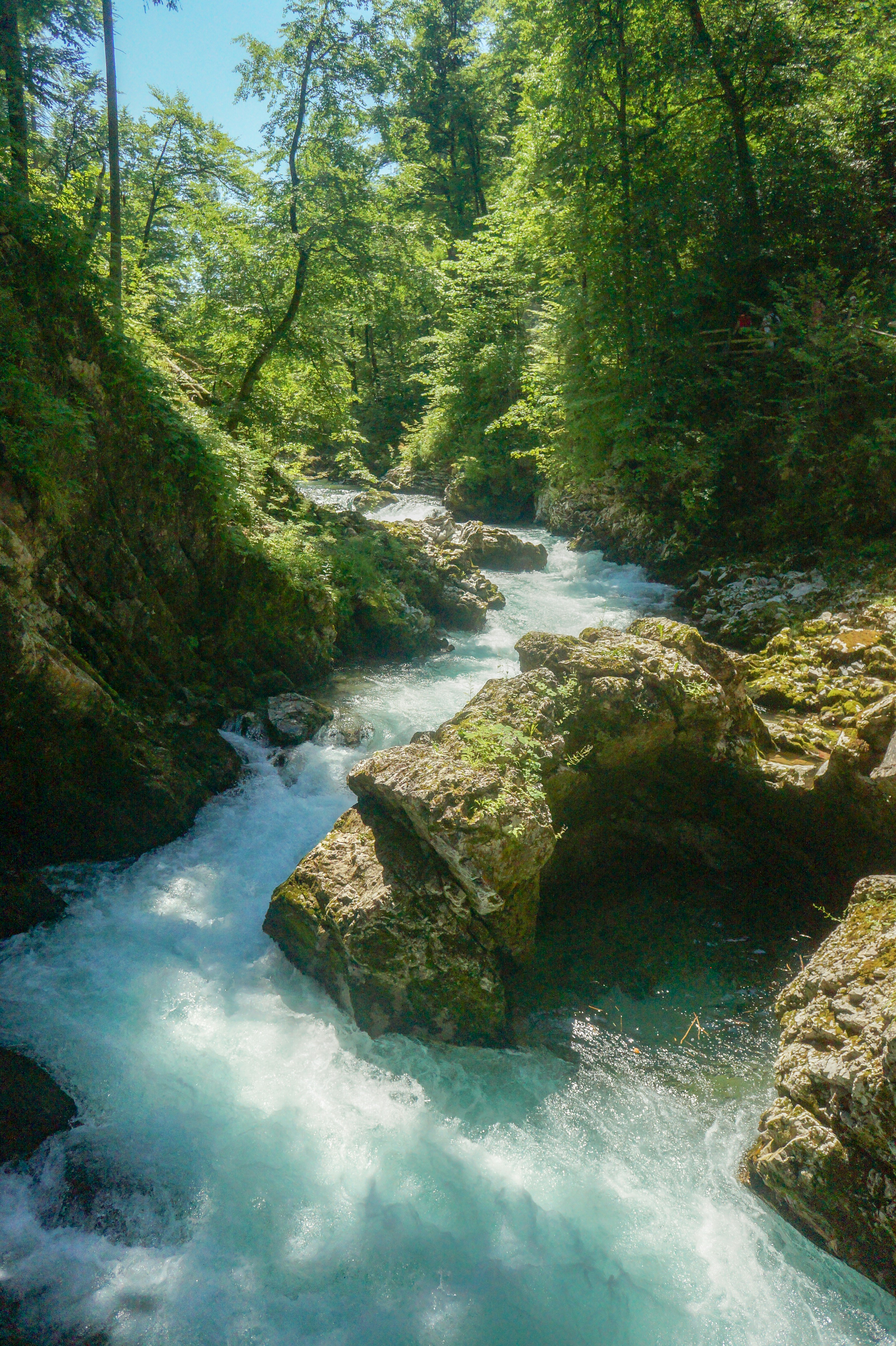 A rushing river flows through a rocky, tree-lined gorge.Luciani Koroshec