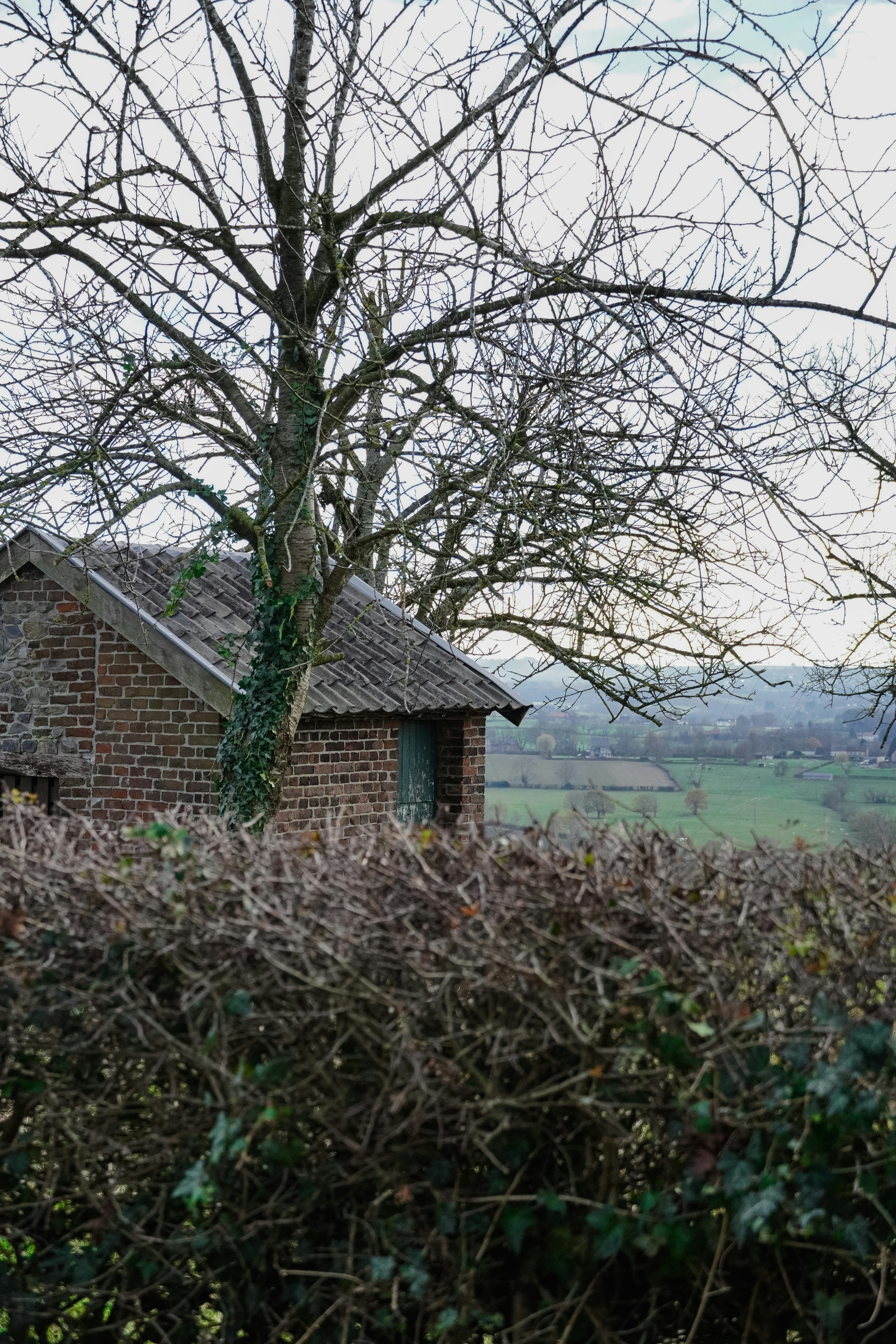 Brick building behind bare trees and hedge photo – Free Countryside ...