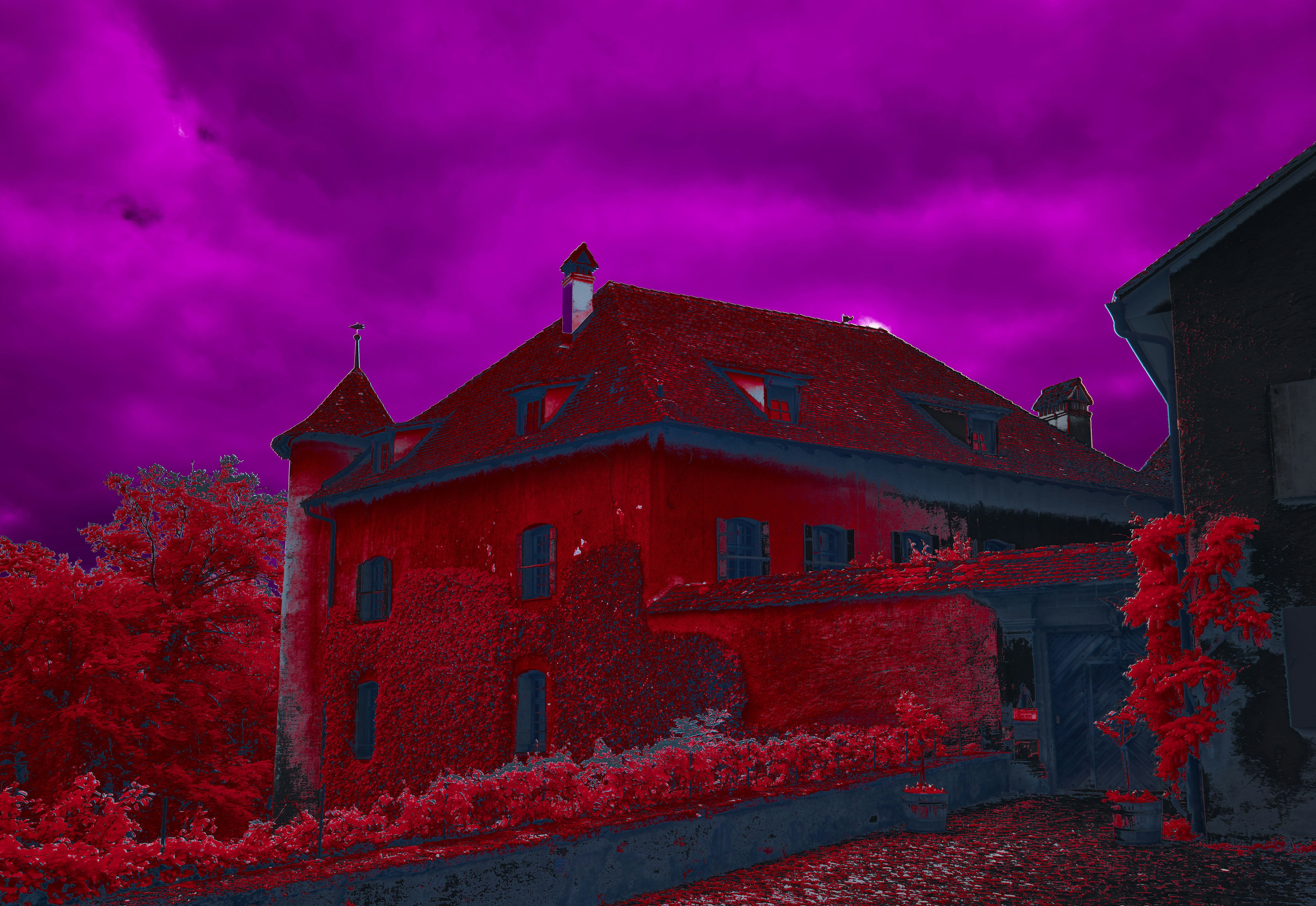 Photo by Wolfgang Hasselmann with Sony Alpha 7 IV