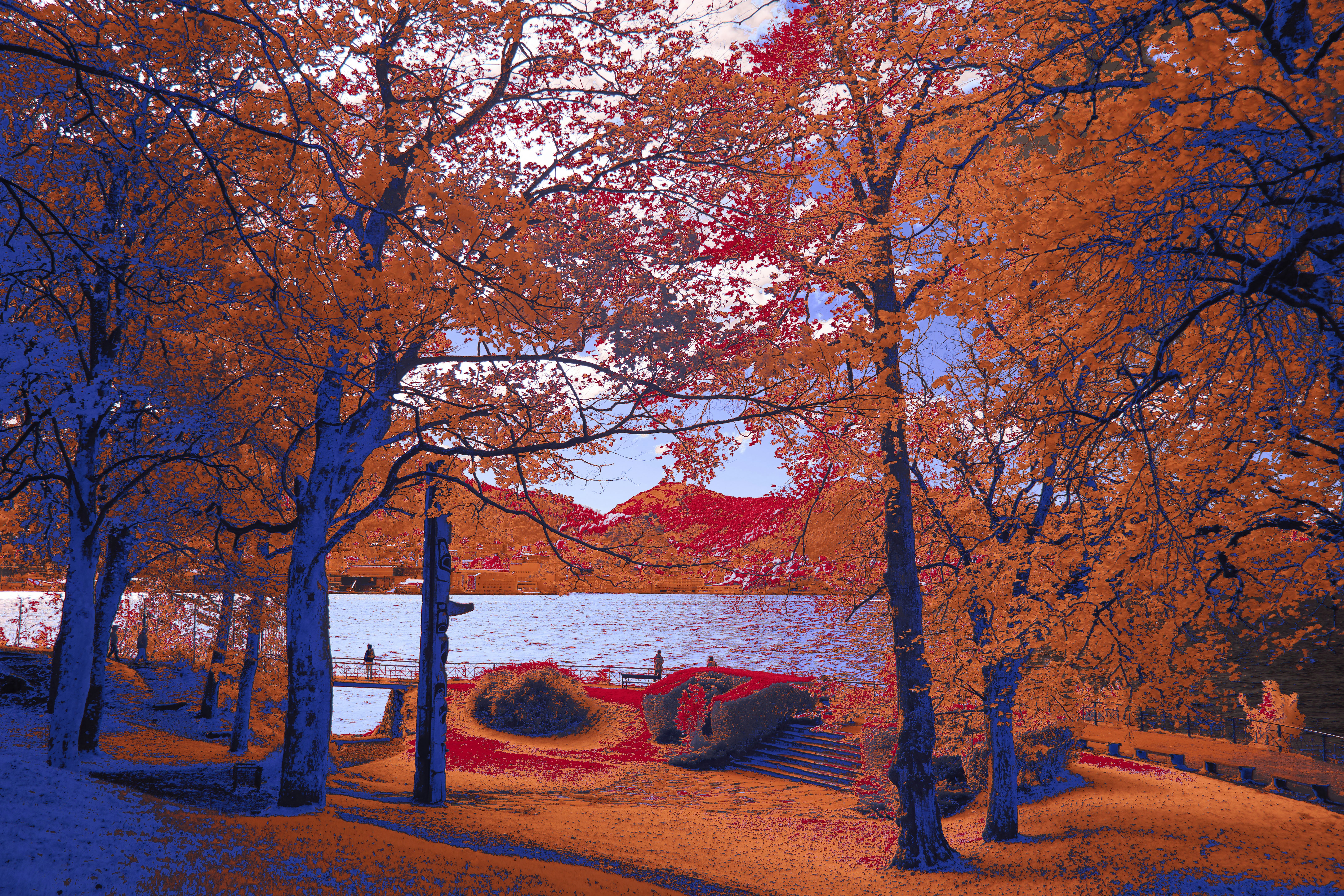 Photo by Wolfgang Hasselmann with Sony Alpha 7 IV