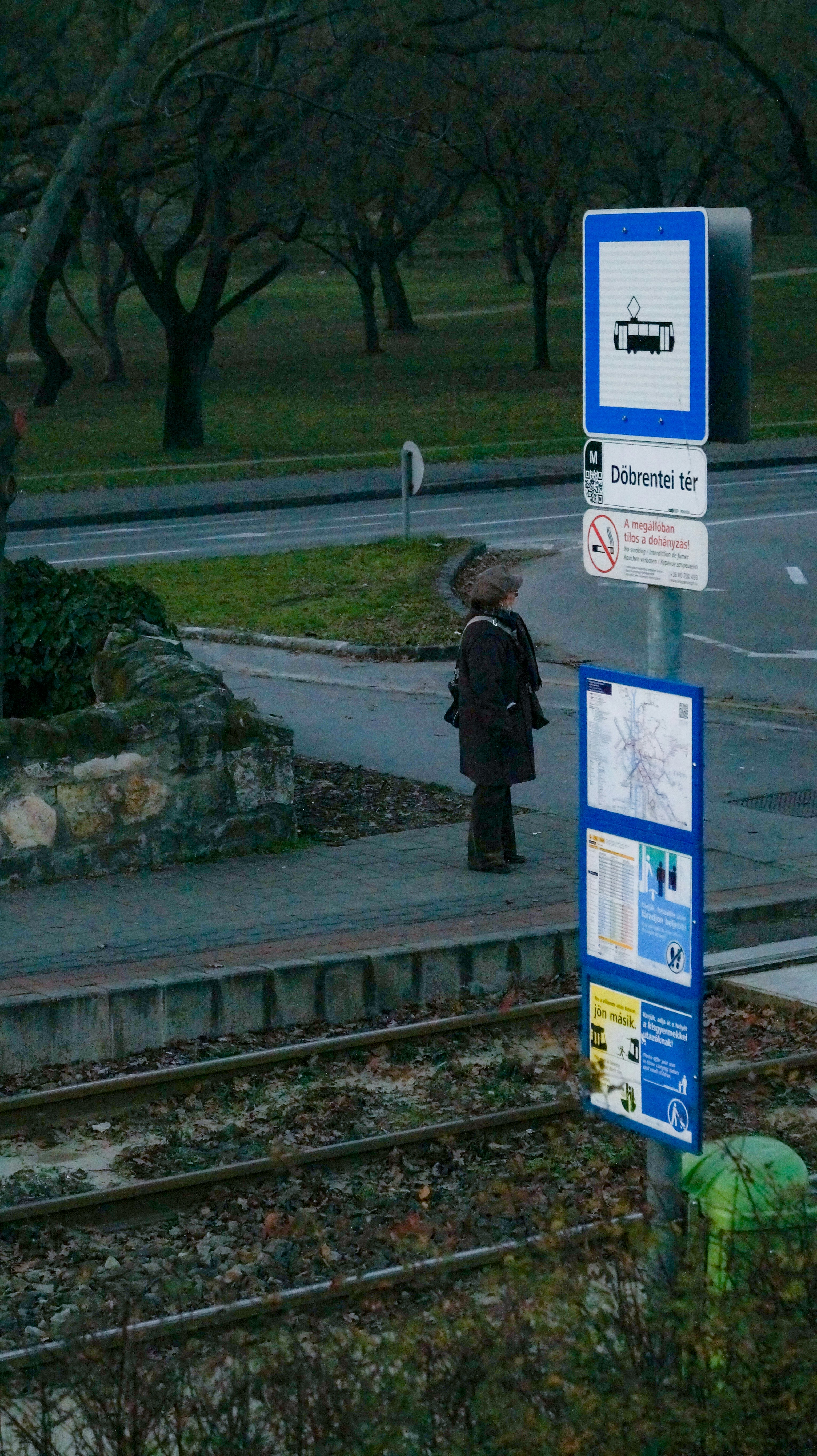 Photo by Luciani Koroshec with Sony Alpha 3000