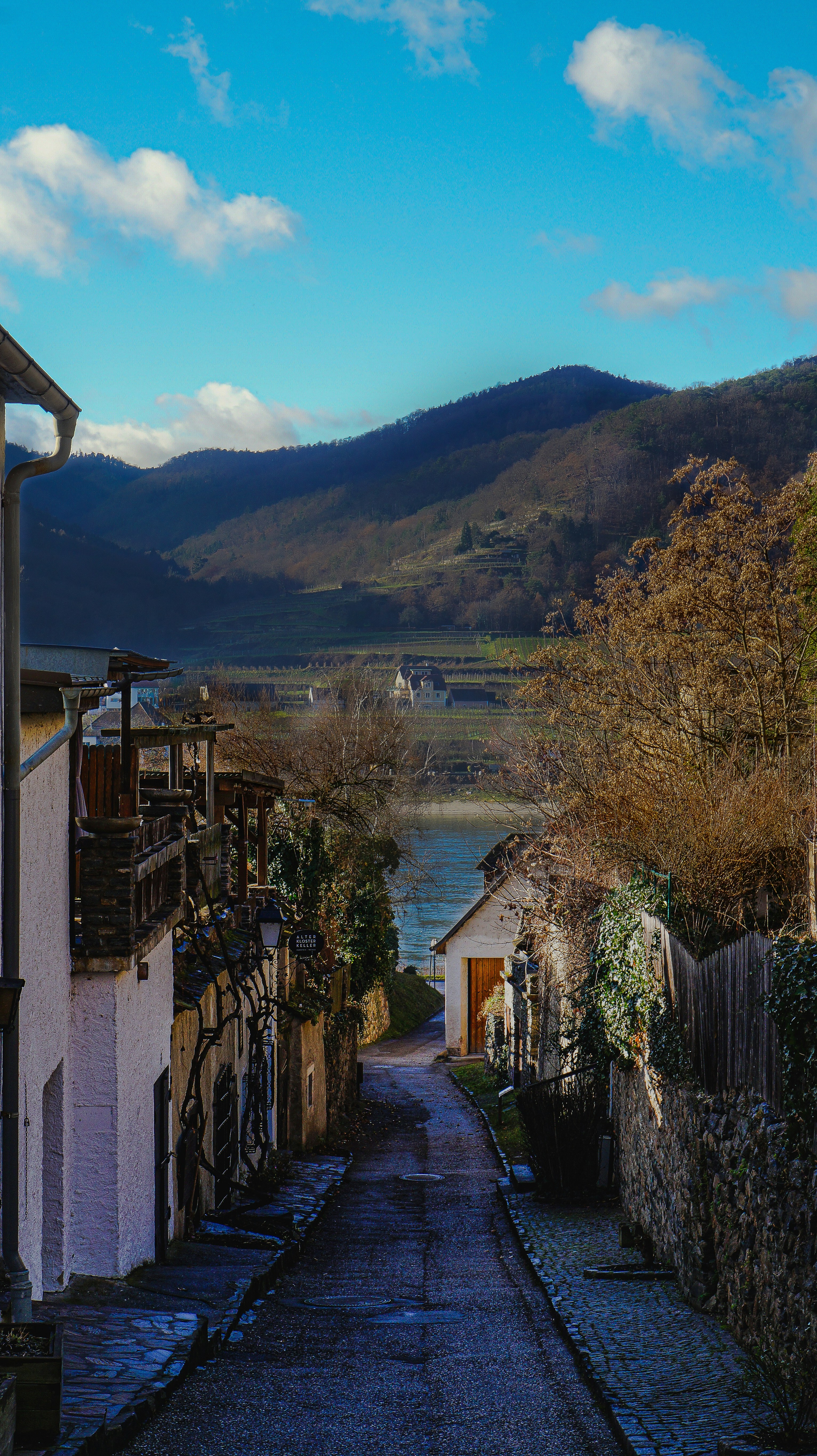 Cobbled Lane toward a Quiet River Valley