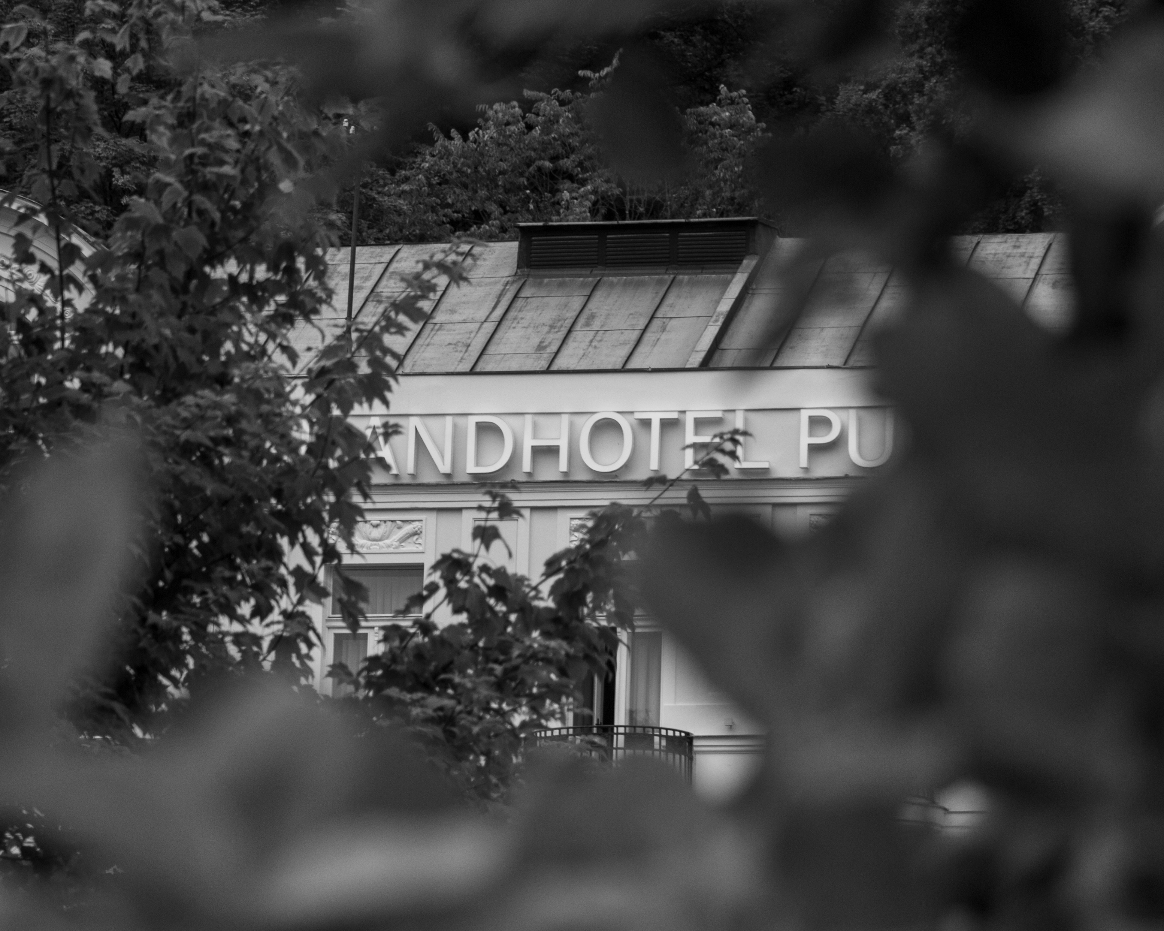 Hidden Hotel Sign Framed by Leaves
