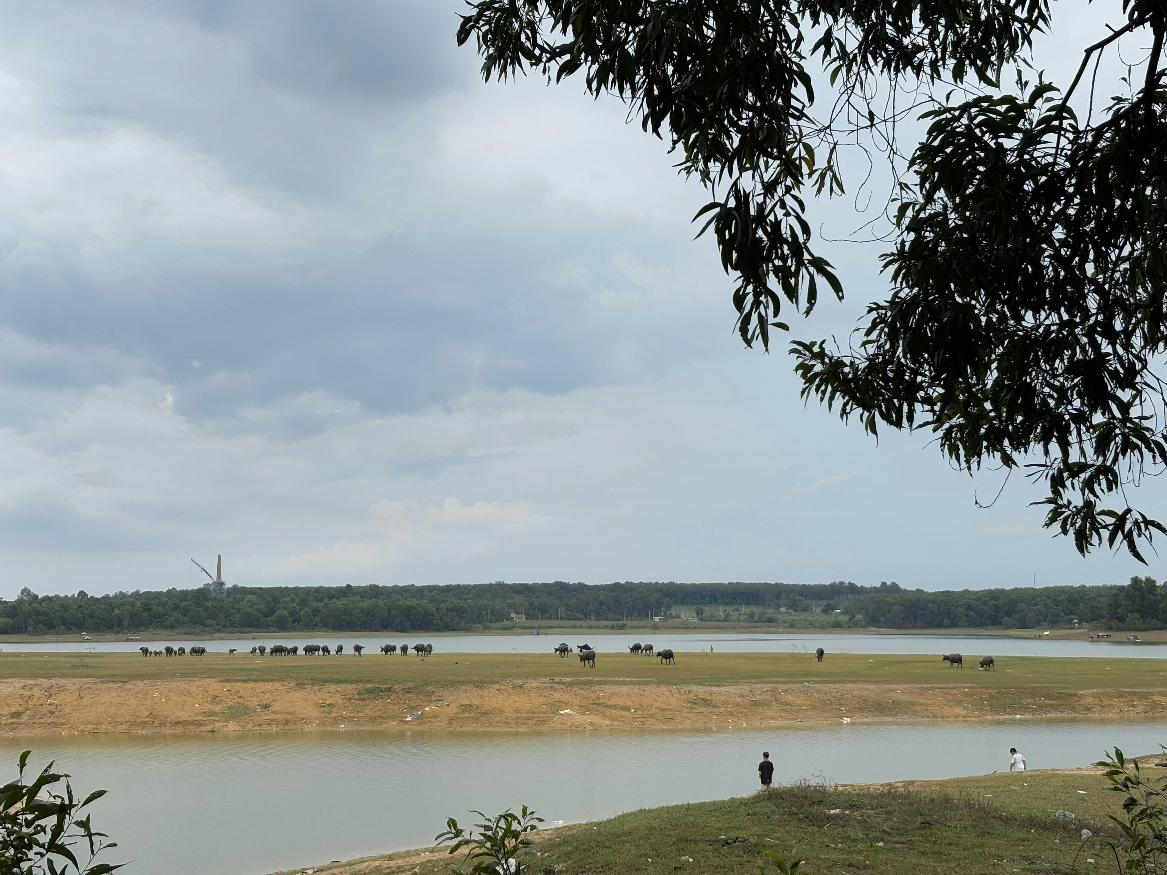 Photo by Hang Hoang with Apple iPhone 15