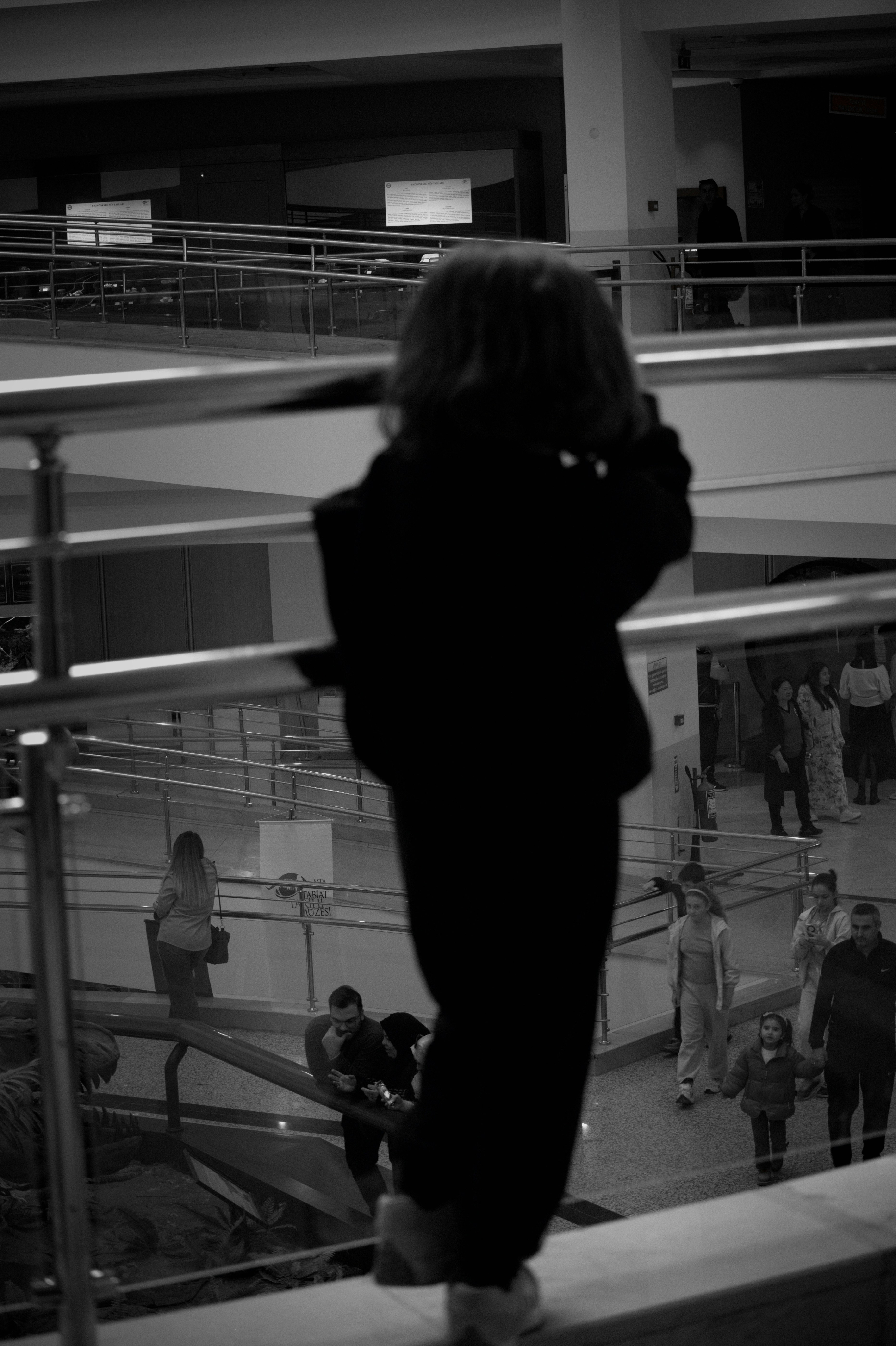 Photo by Amin Zabardast with Nikon Z30