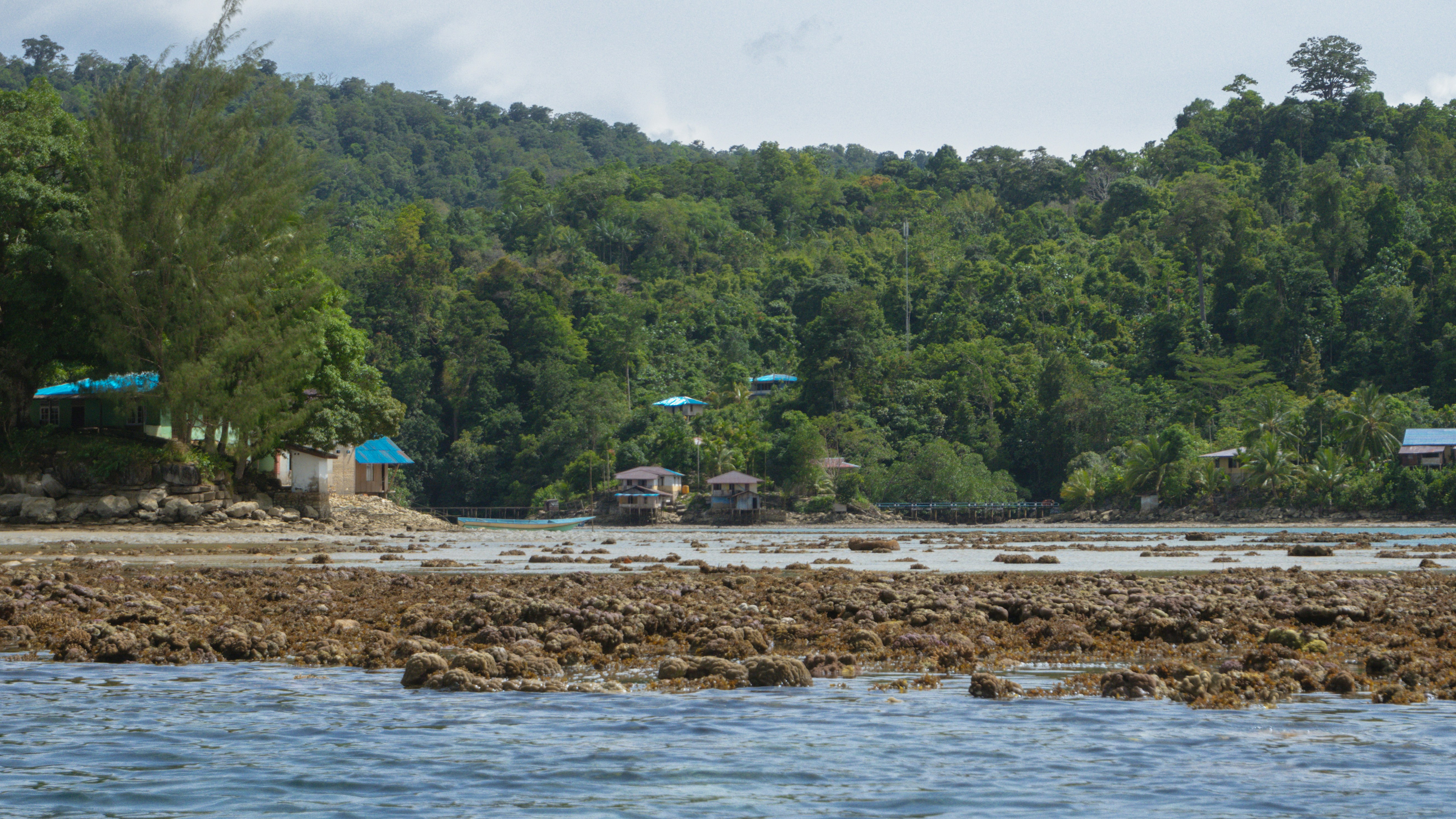Blue Umbrellas on a Rocky Shoreline