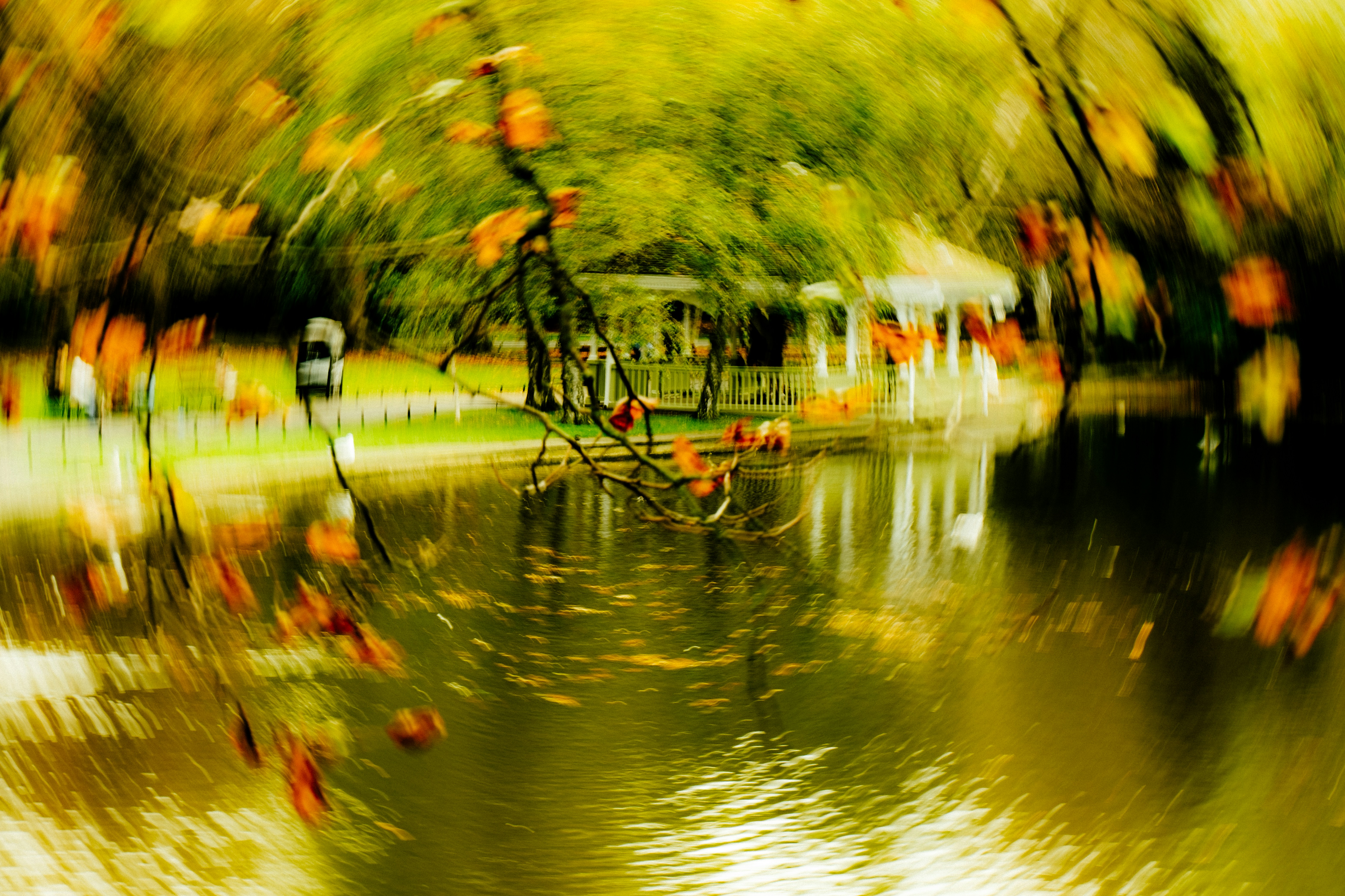 Swirl of Autumn: A Lounging Park by the Water