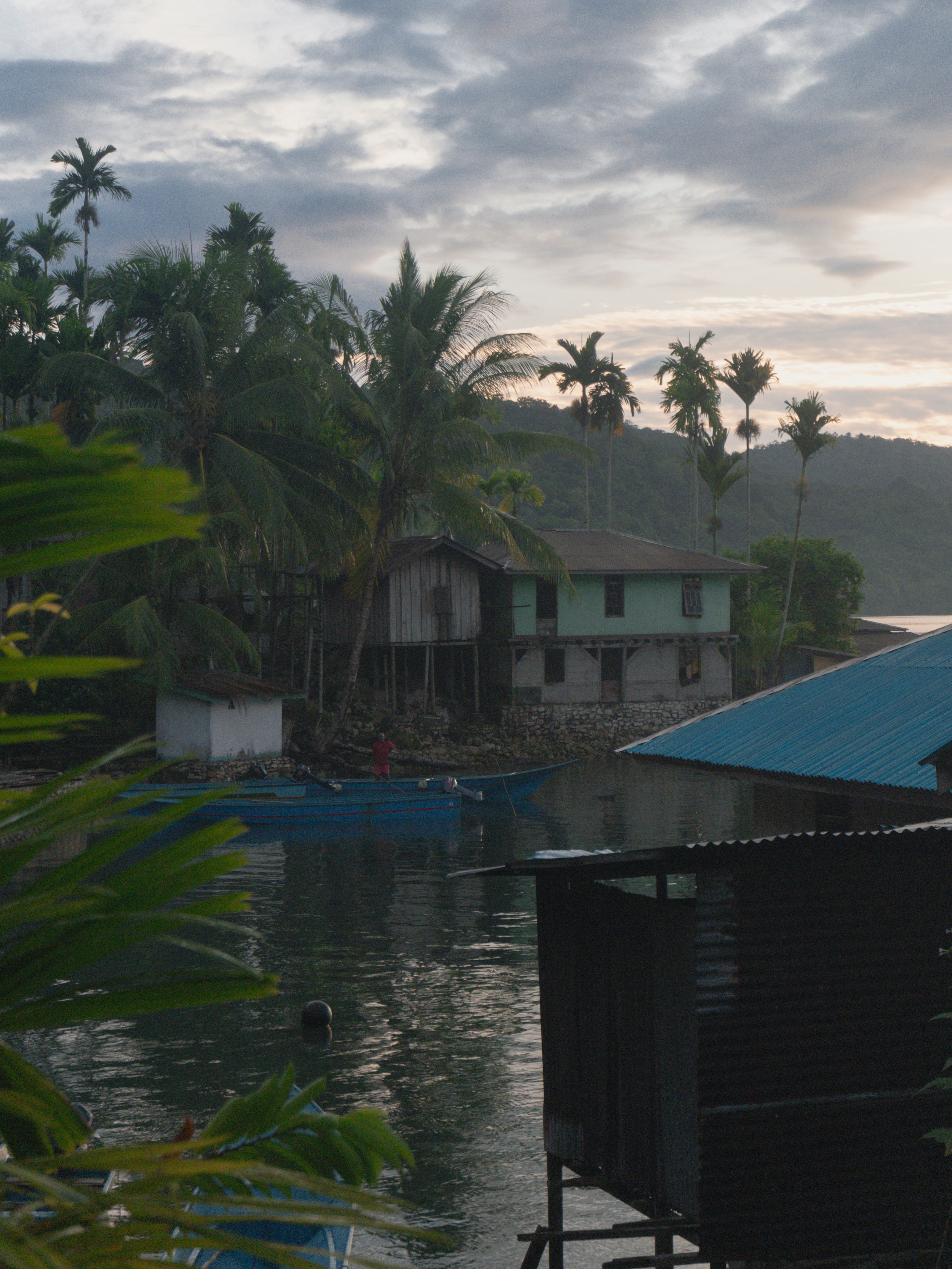 Lagoon-side palms and a weathered cottage at dusk