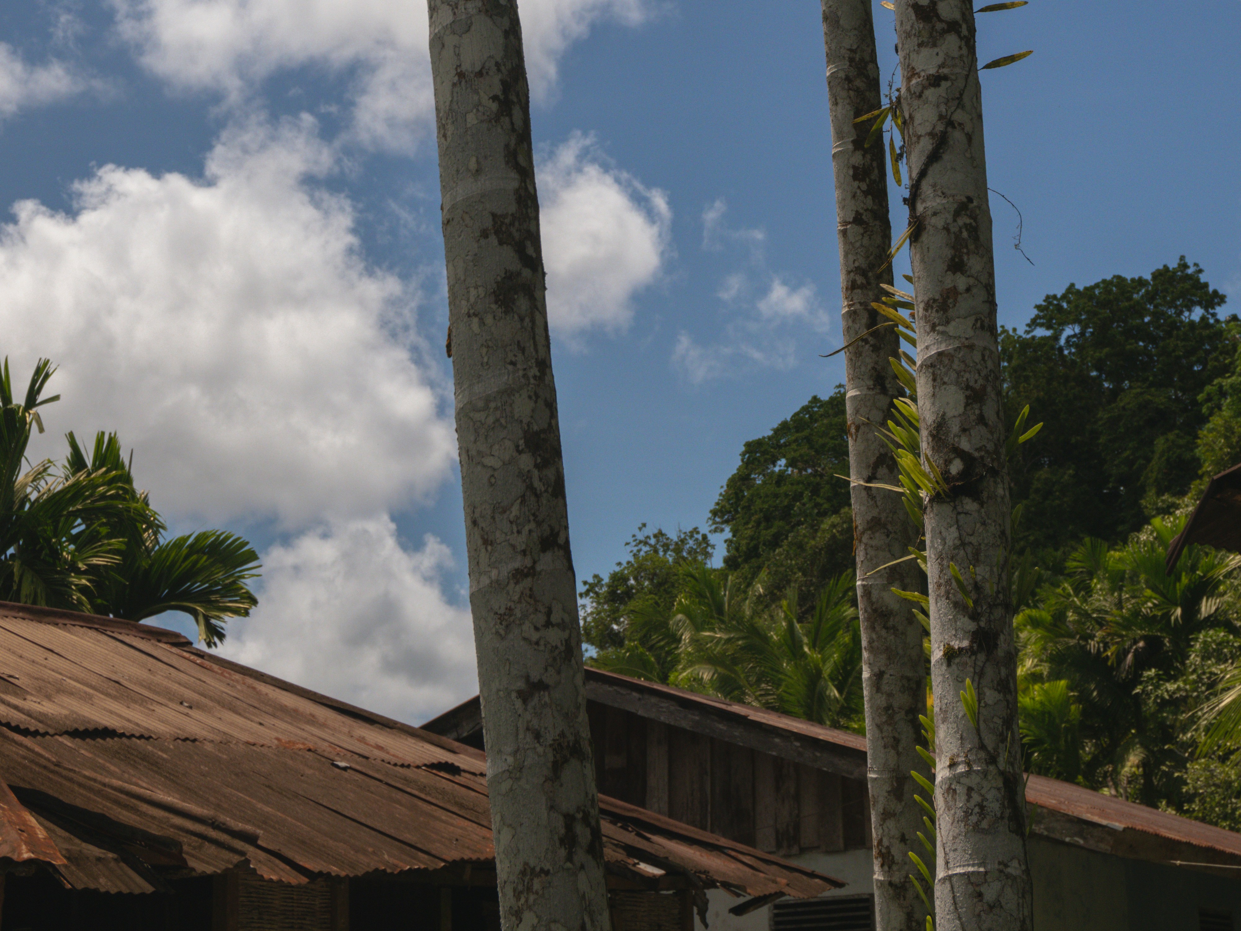 A noon view at Werfra village, Fakfak Regency, West Papua, Indonesia.