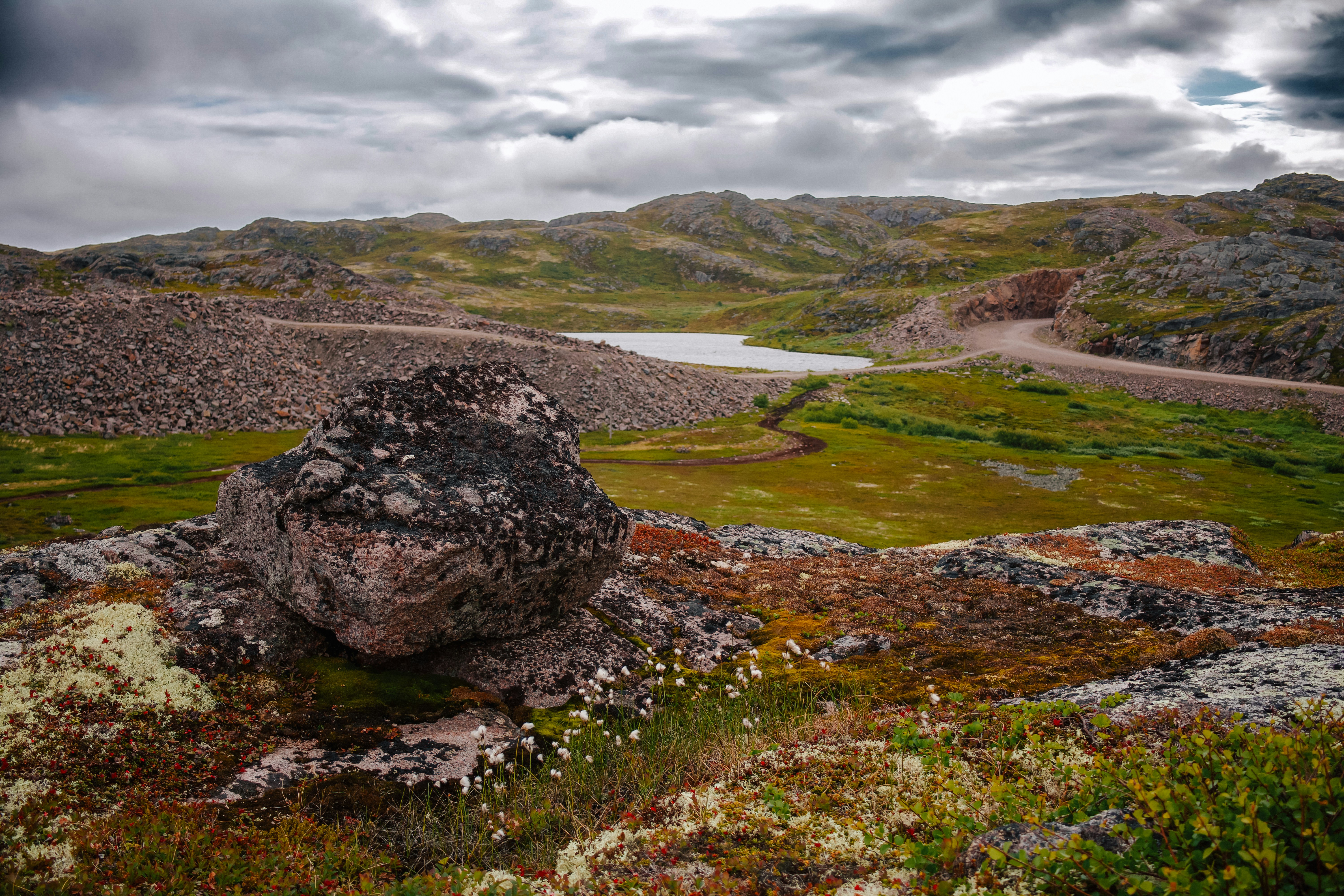 Forefront Boulder on a Mossy Moor Beneath a Brooding Sky