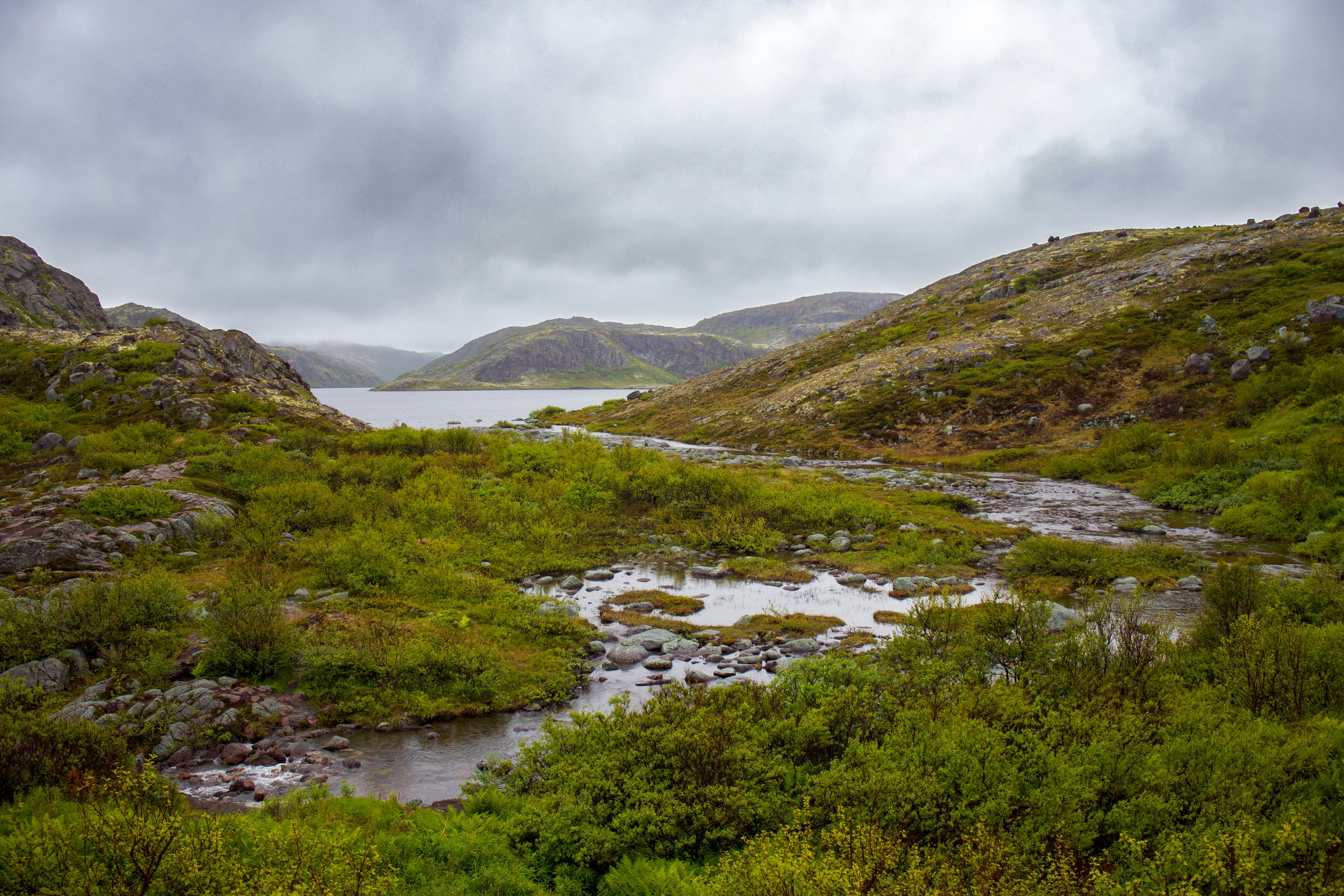 Winding Creek Through Mossy Highlands Beneath a Cloudy Sky