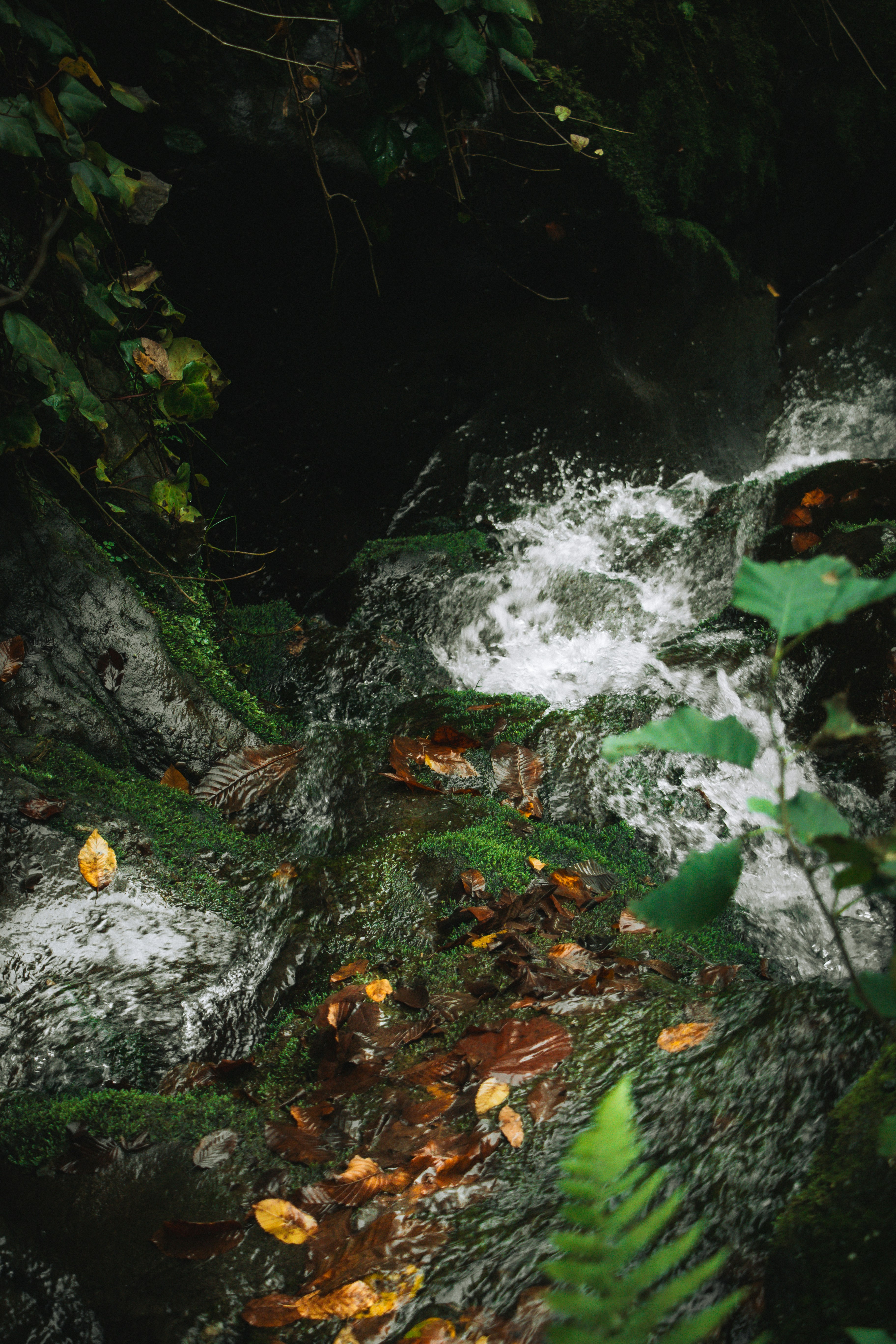 Photo by Osman İçli with Canon EOS 70D