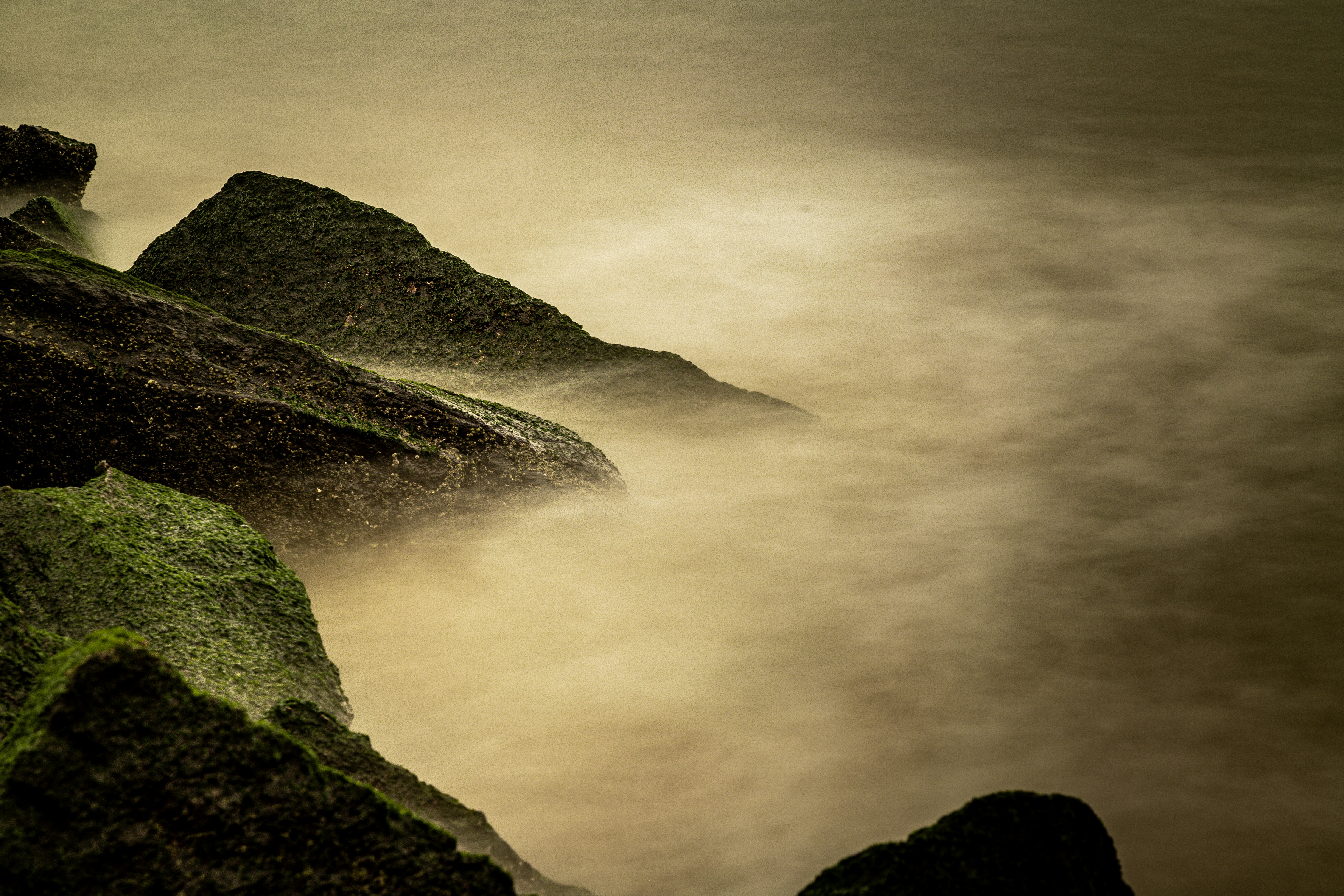 Moss-Crowned Rocks at the Edge of a Golden Tide