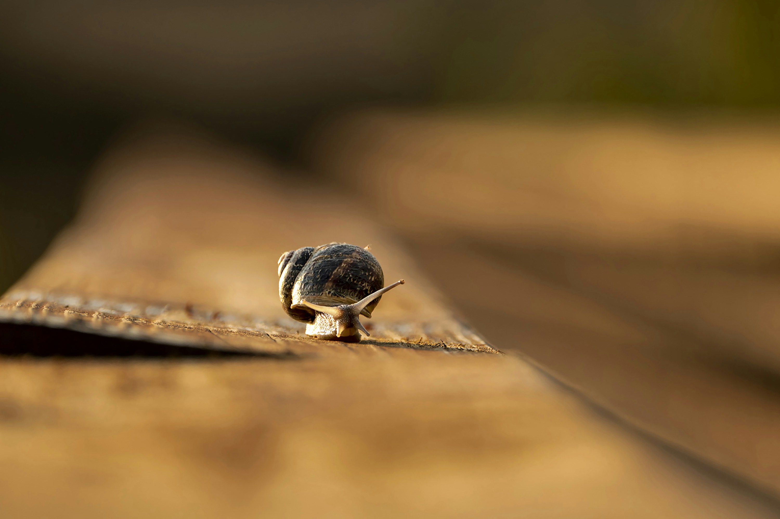 Photo by miguel garcia jimenez with Panasonic Lumix FZ1000