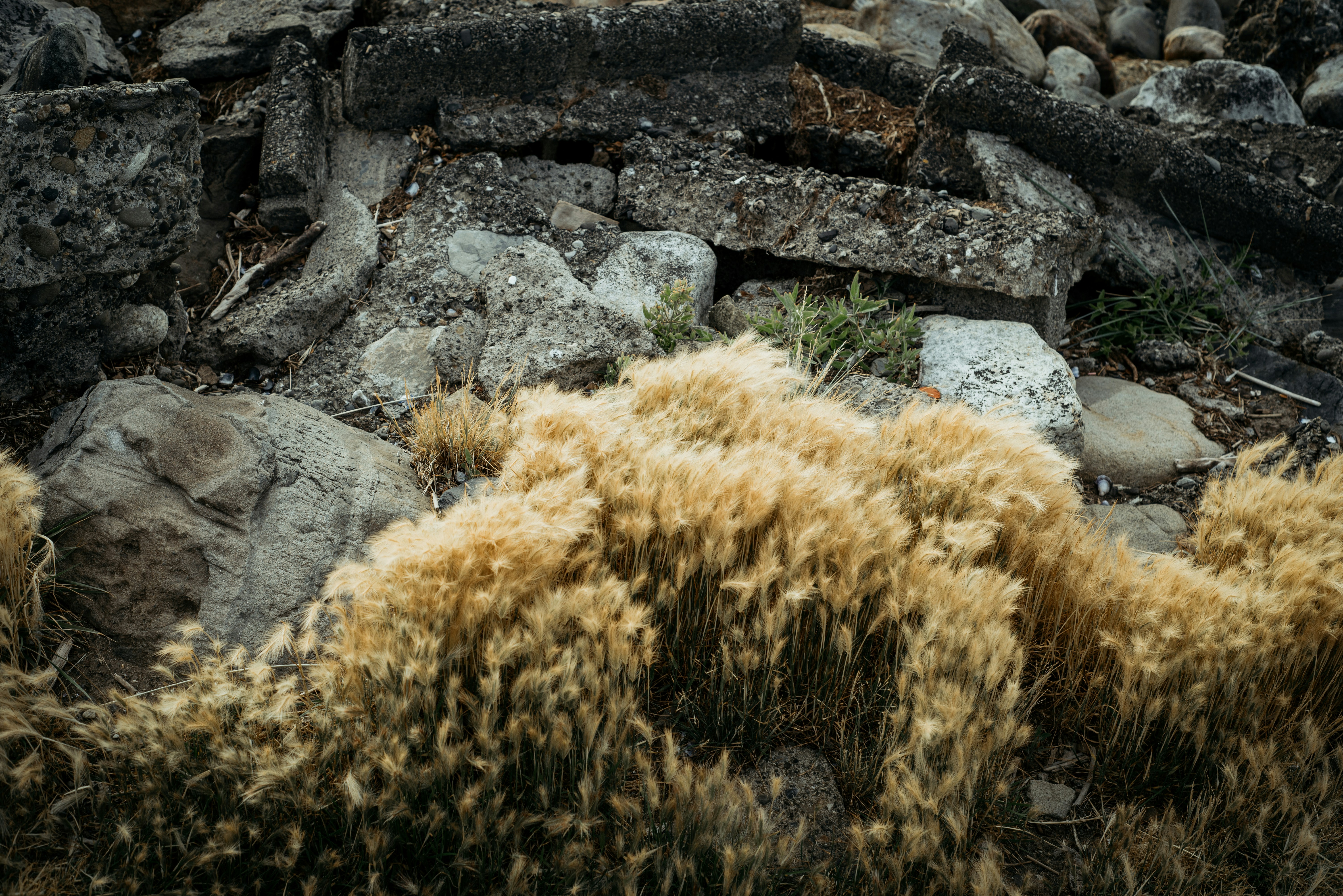 Photo by Ola Zarko with Nikon D750