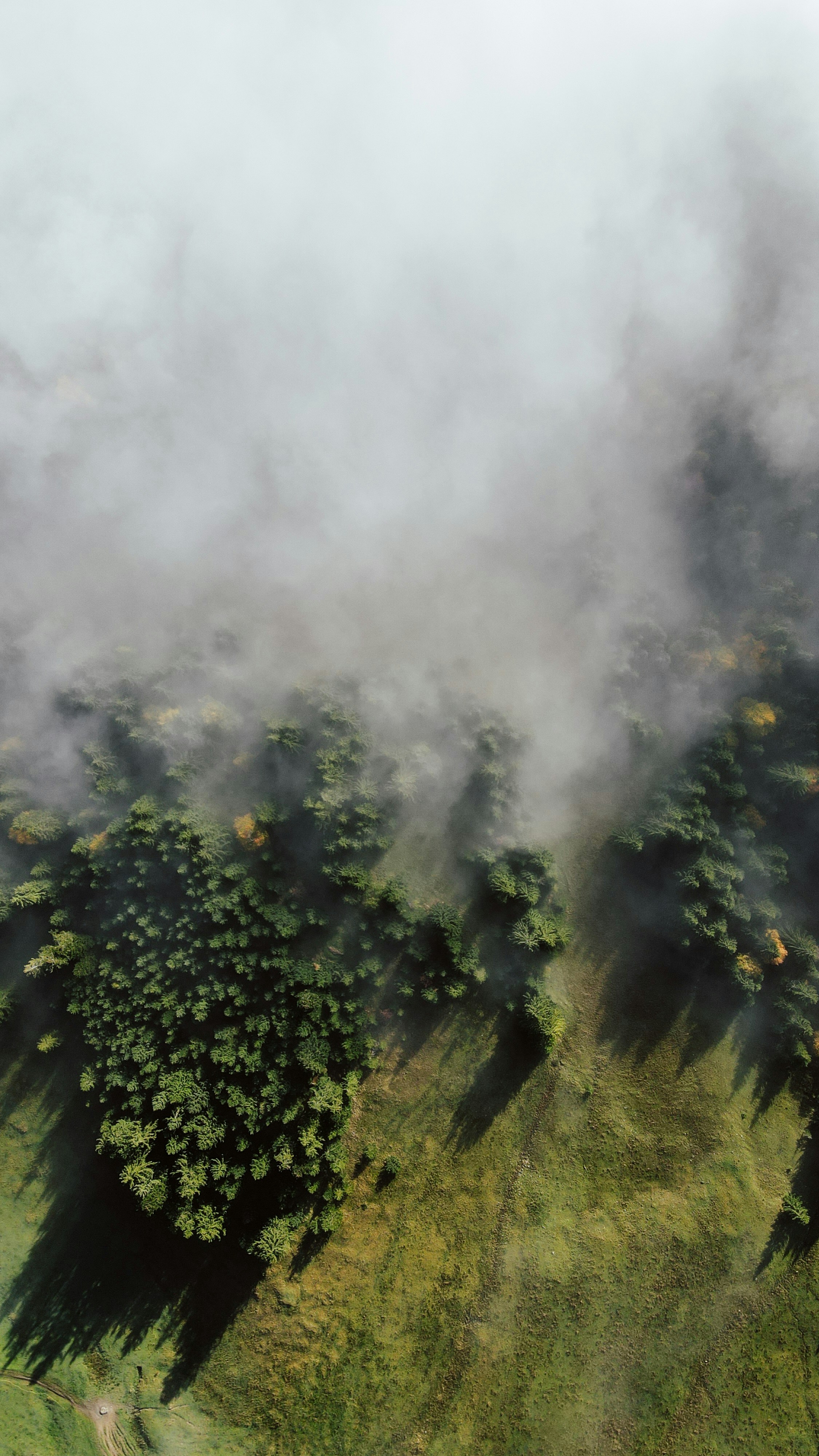 Photo by Maurits Bausenhart with DJI Air 2S