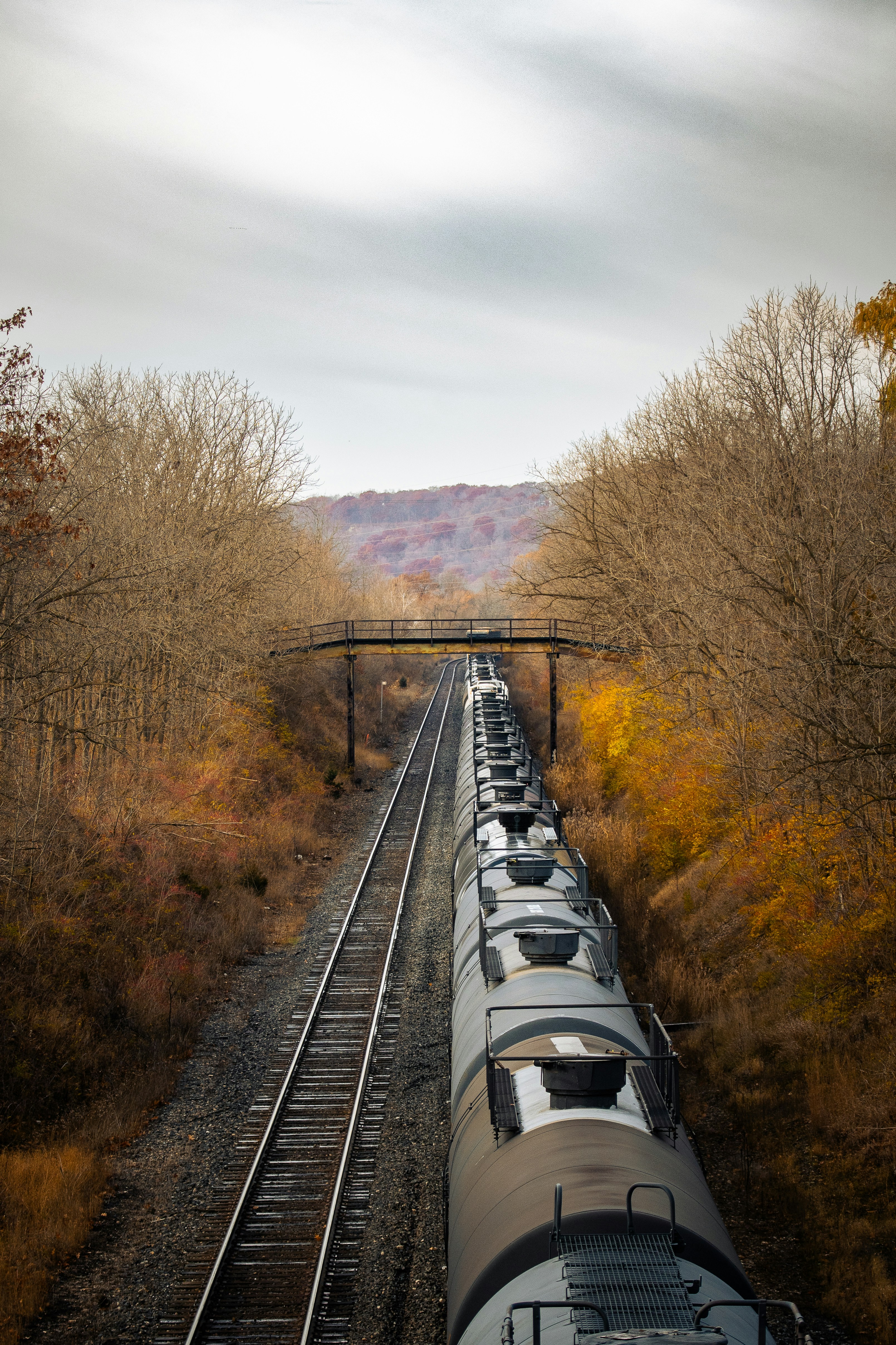 Amber Corridor: Tank Cars Wind Along a Quiet Railscape