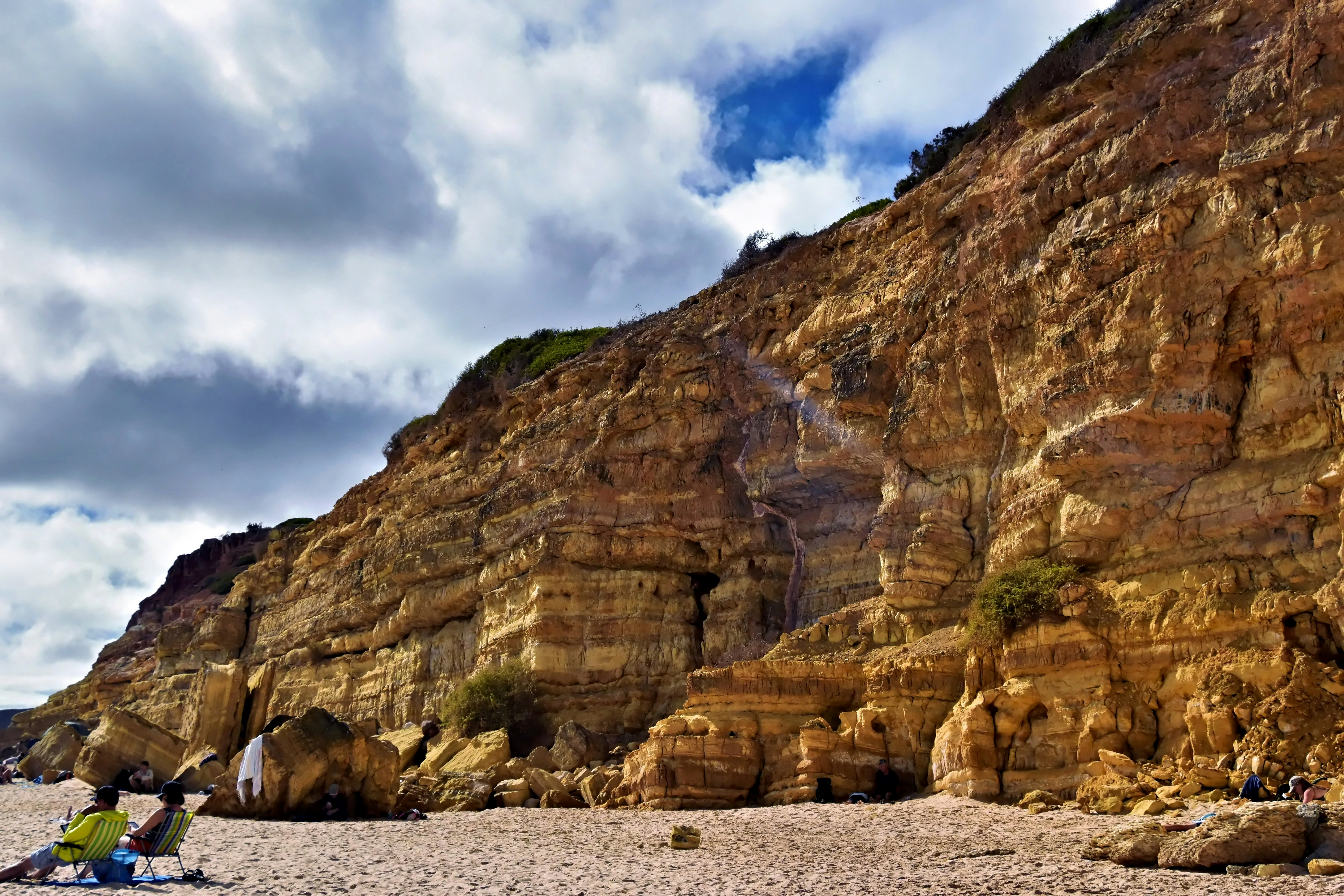 Photo by Jeffrey Eisen with Nikon D5600