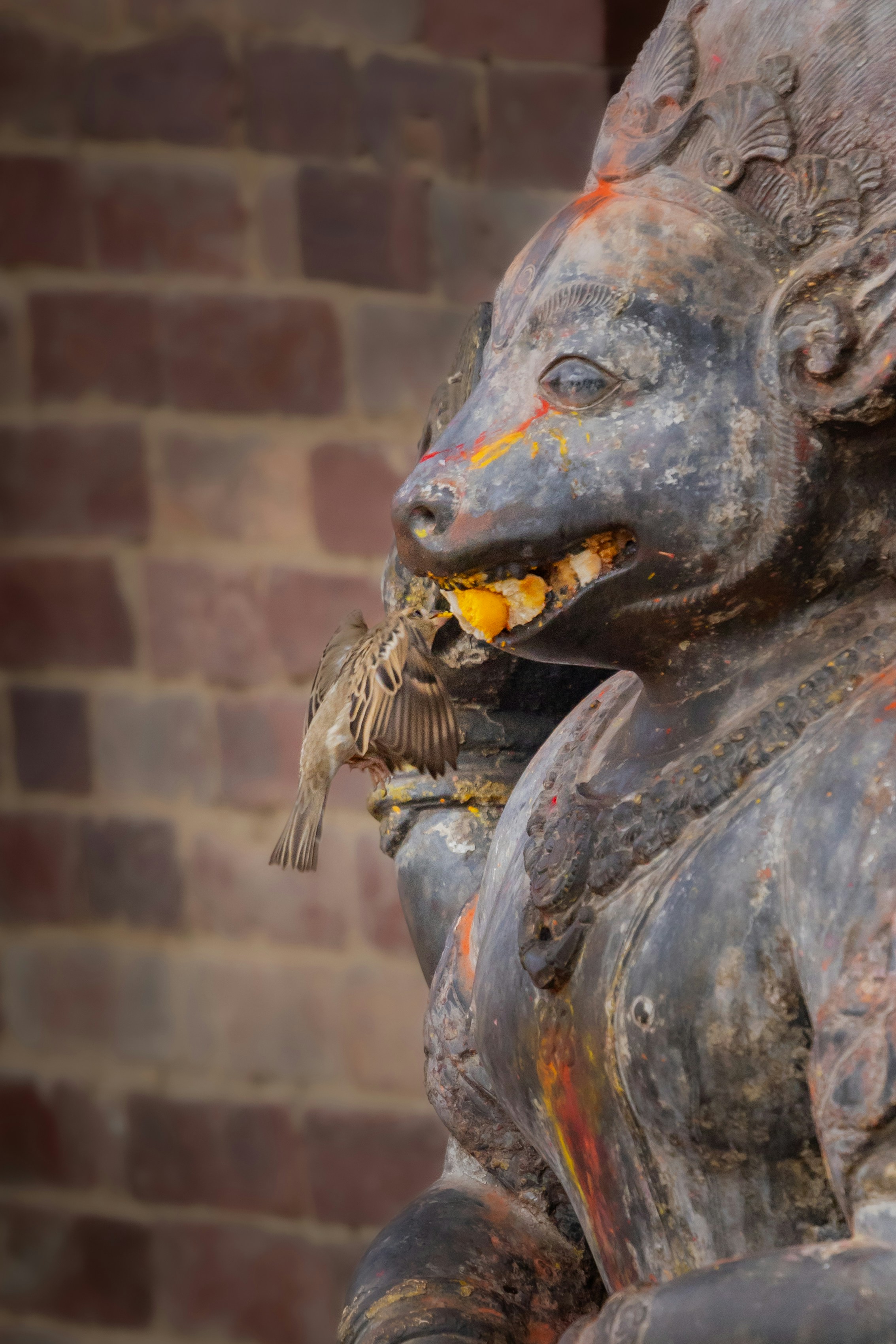 Whispers of Migration: A Bird in the Gaze of the Guardian Statue