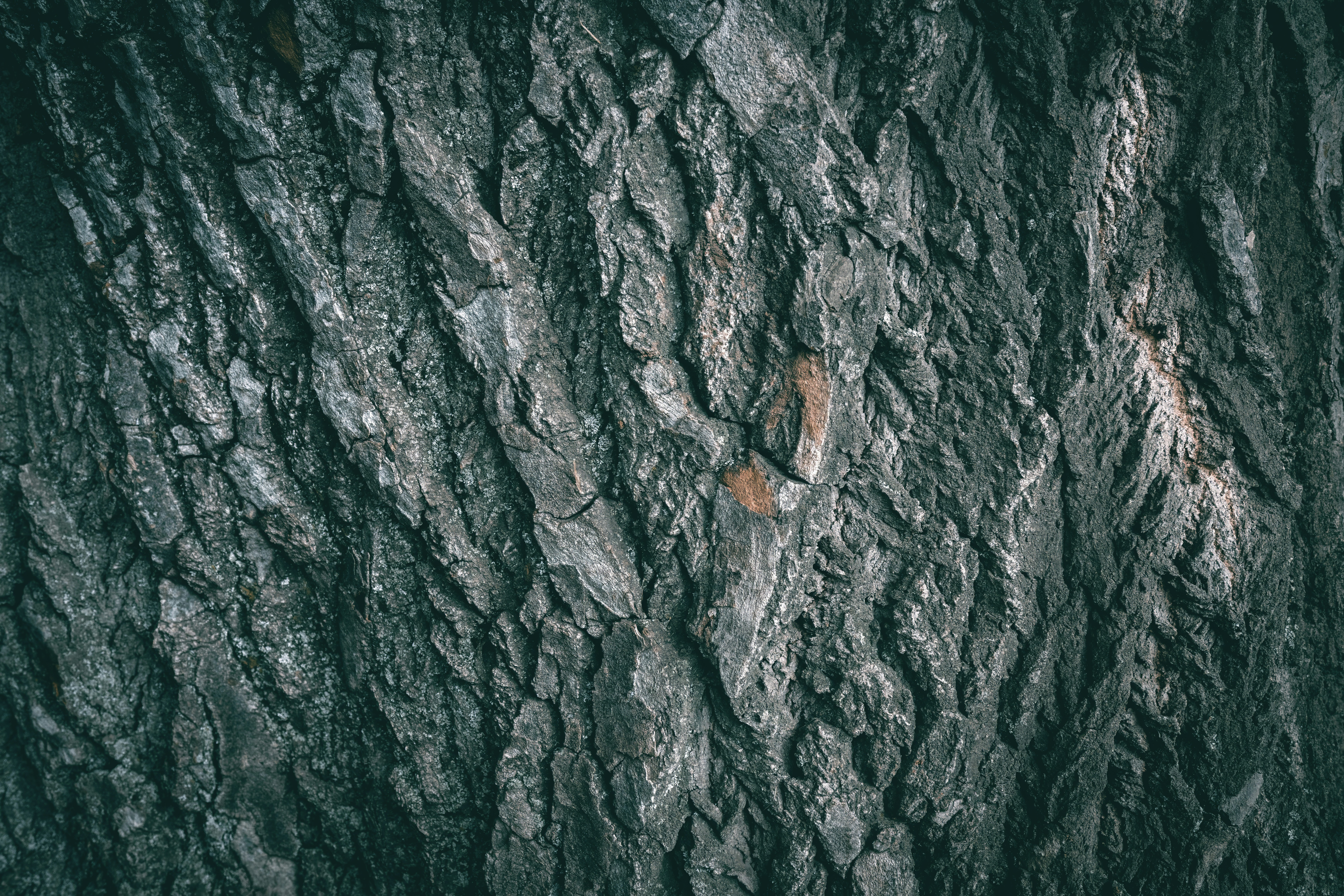 Cracked Terrain Under a Cold Glow
