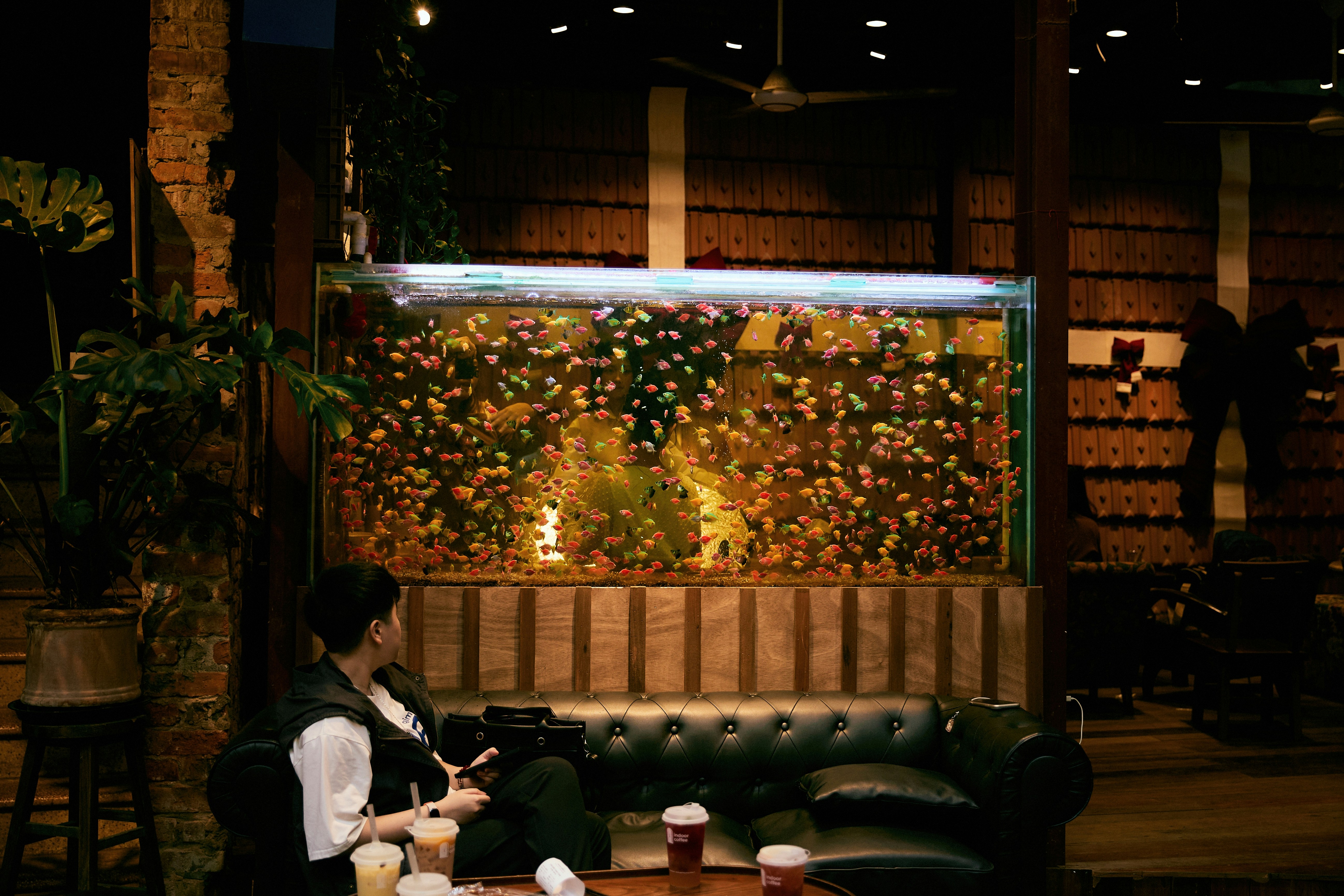 Coffee Shop Christmas