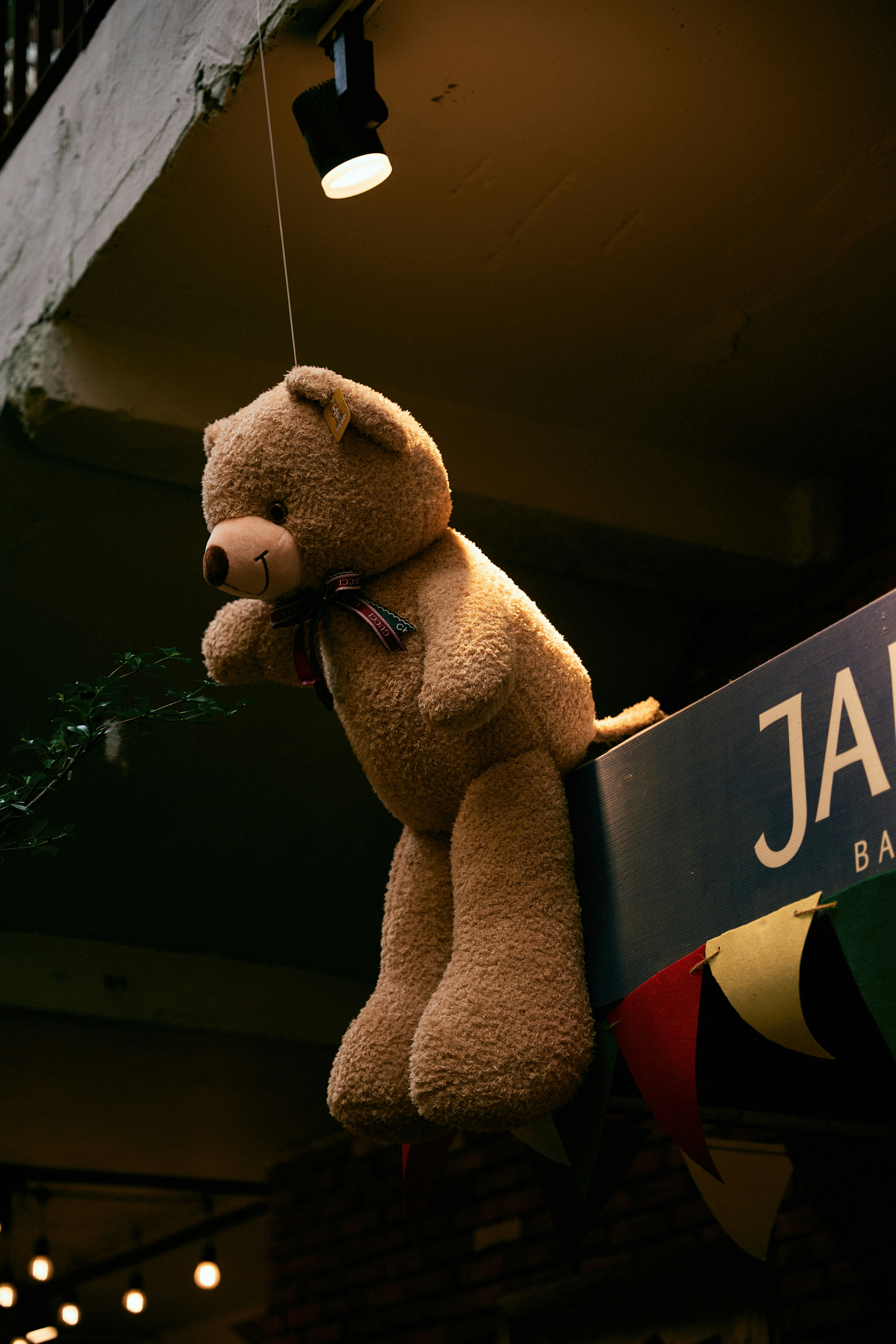 Soft Vigil Under a Warm Spotlight: A Plush Teddy Bear Hangs in a Dim Shop