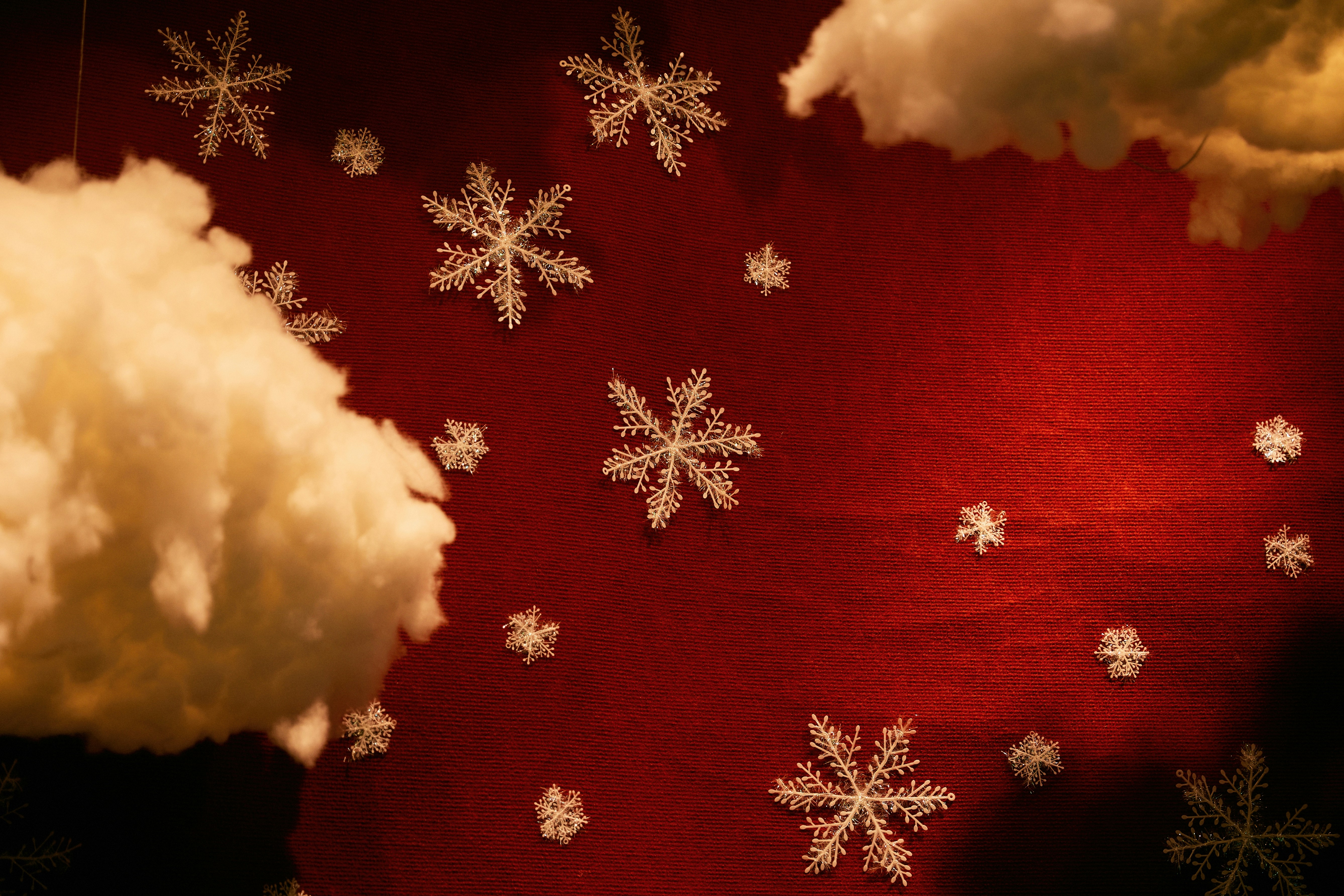 Cotton Cloud Among Snowflakes on Crimson Velvet