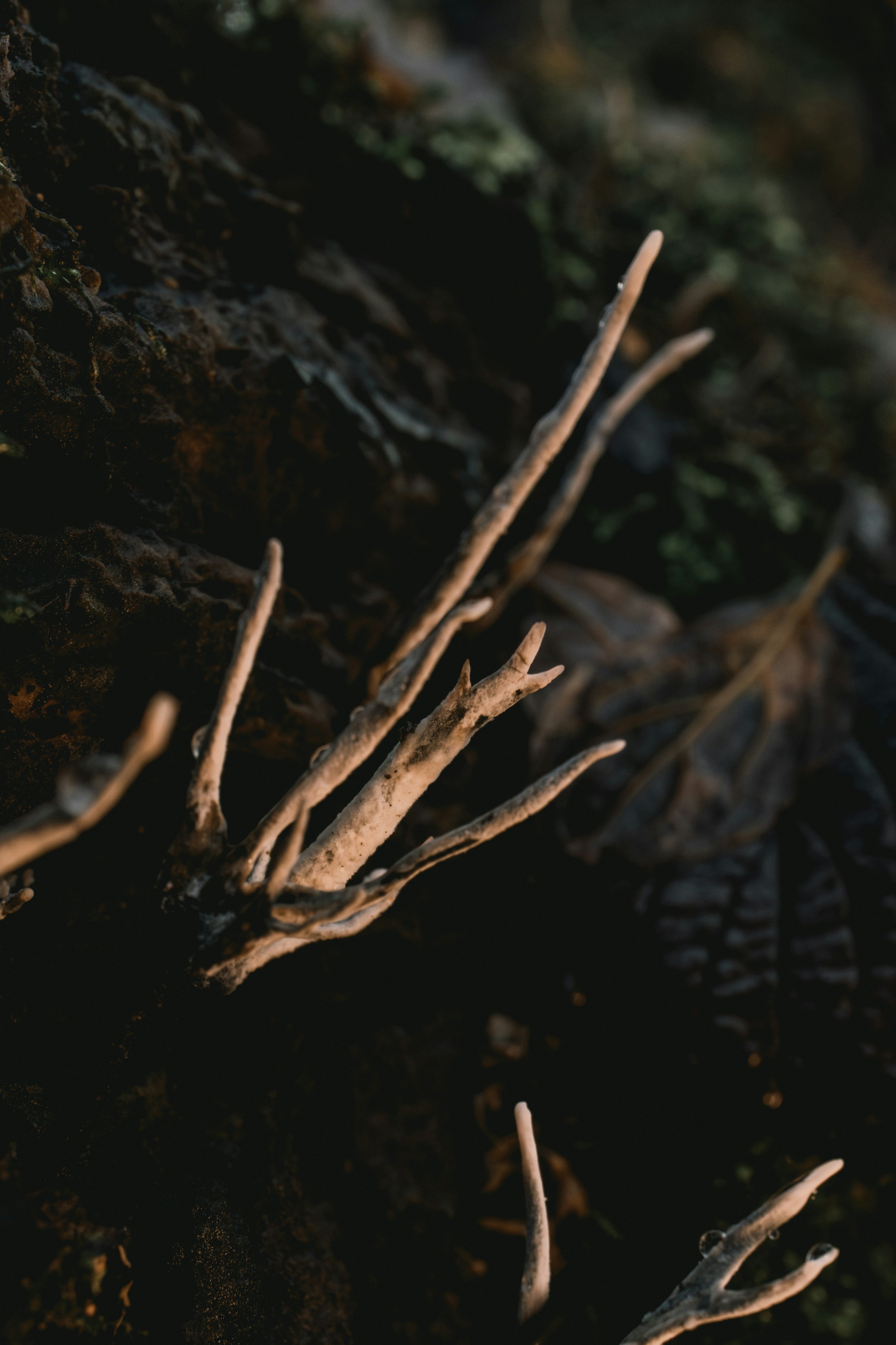 Photo by Sofie D. with Canon EOS M100