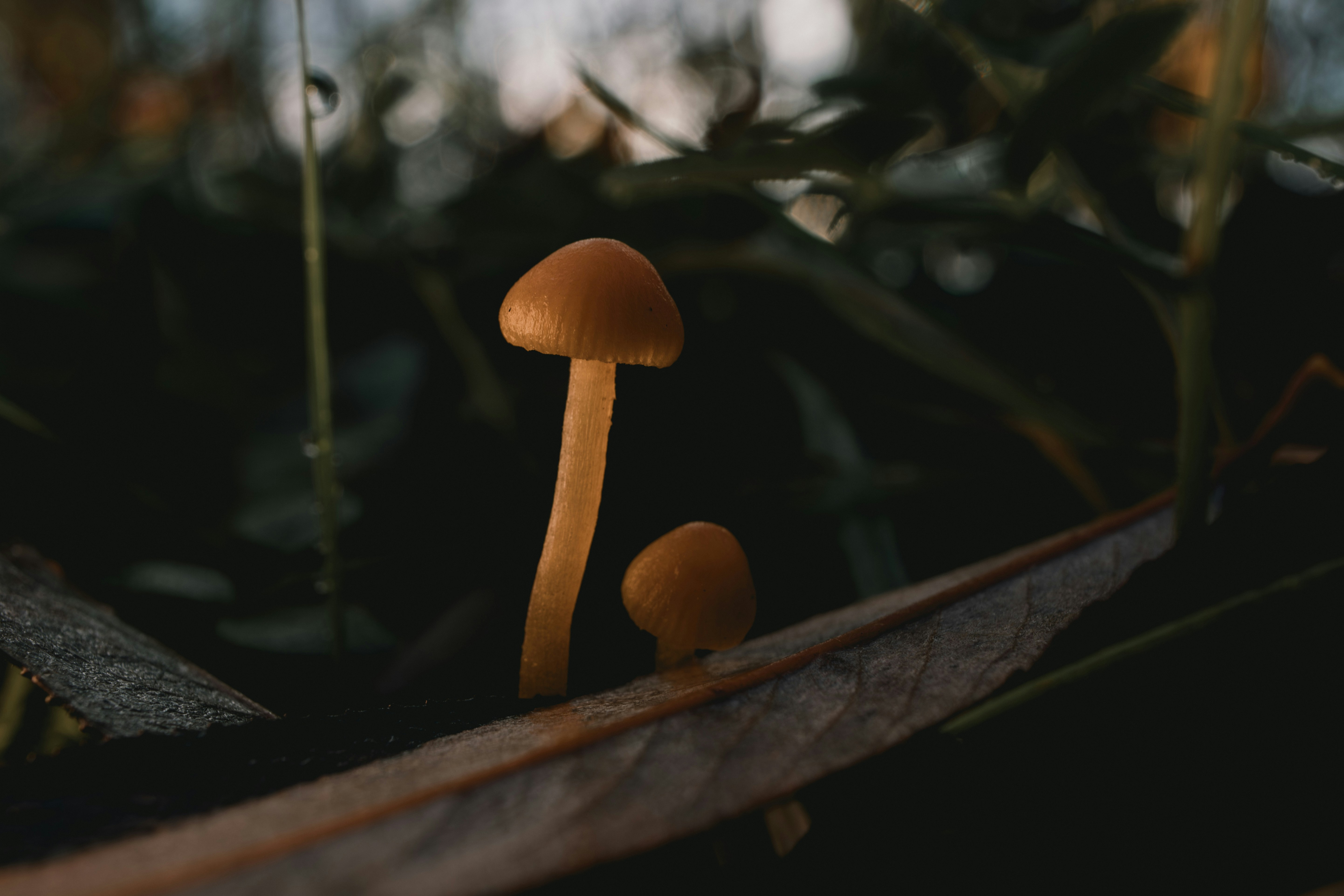 Photo by Sofie D. with Canon EOS M100