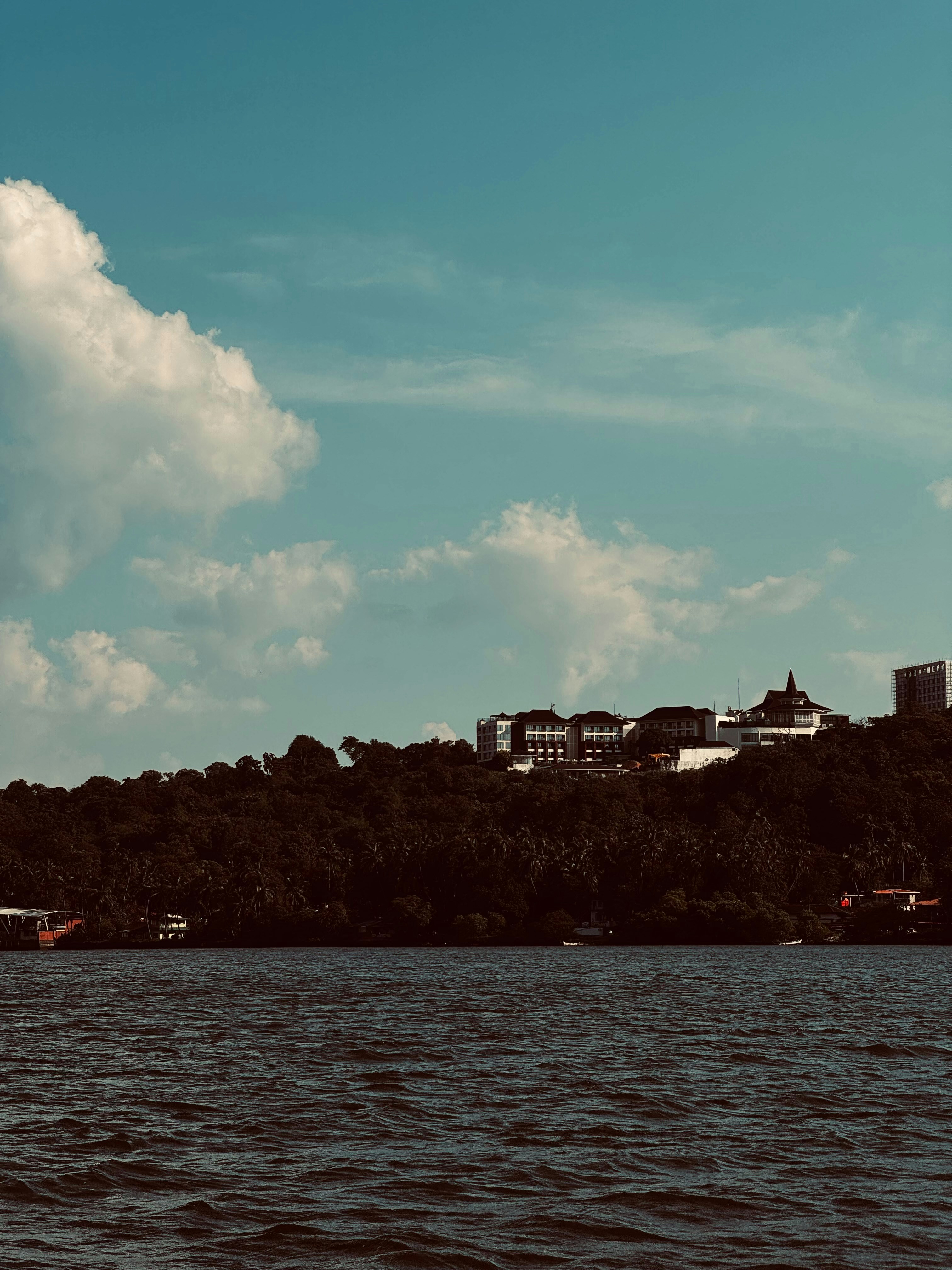 Ridgecrest Over the Bay: Hillside Village in Daylight