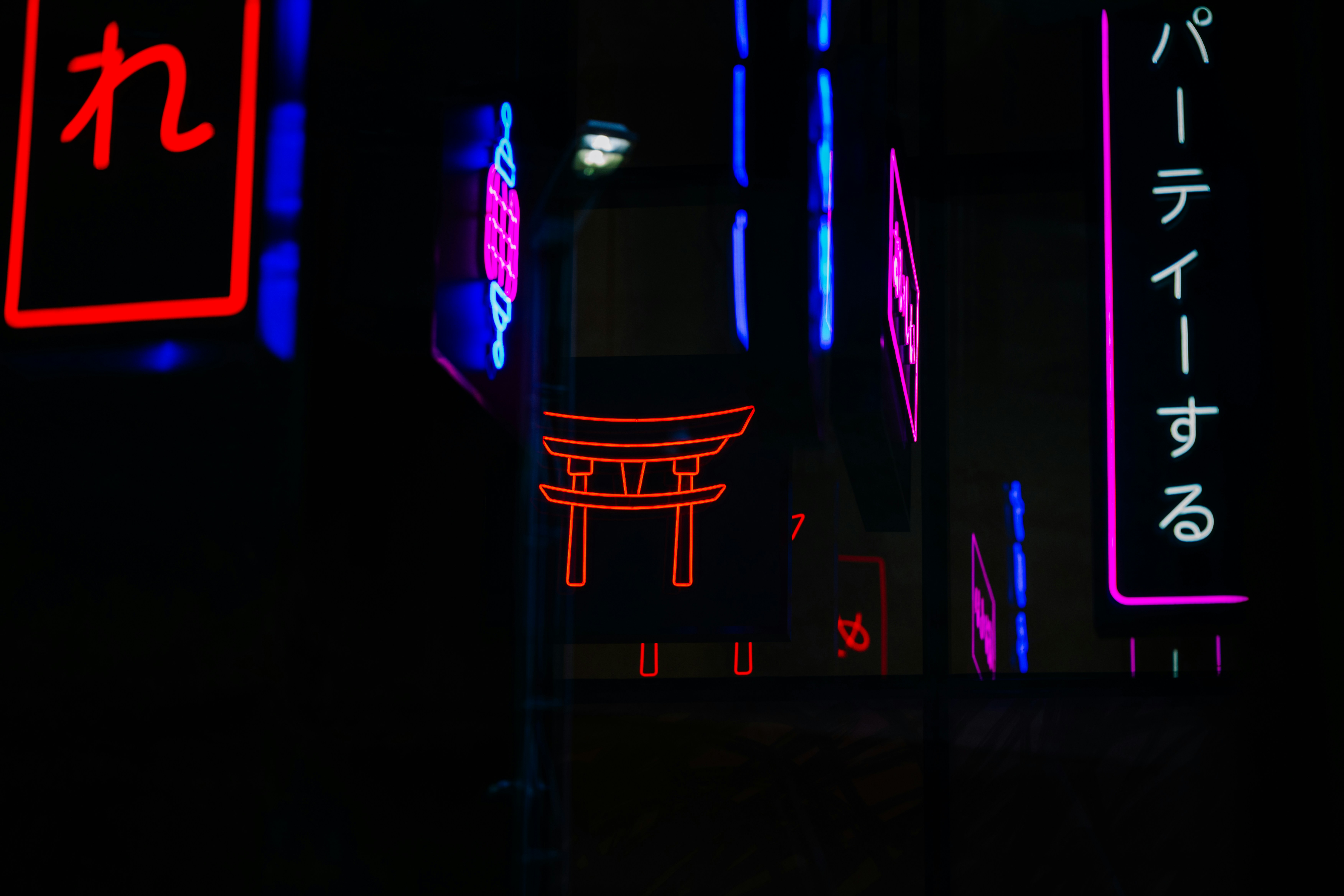 Photo by Mathias Reding with Sony Alpha 7 IV