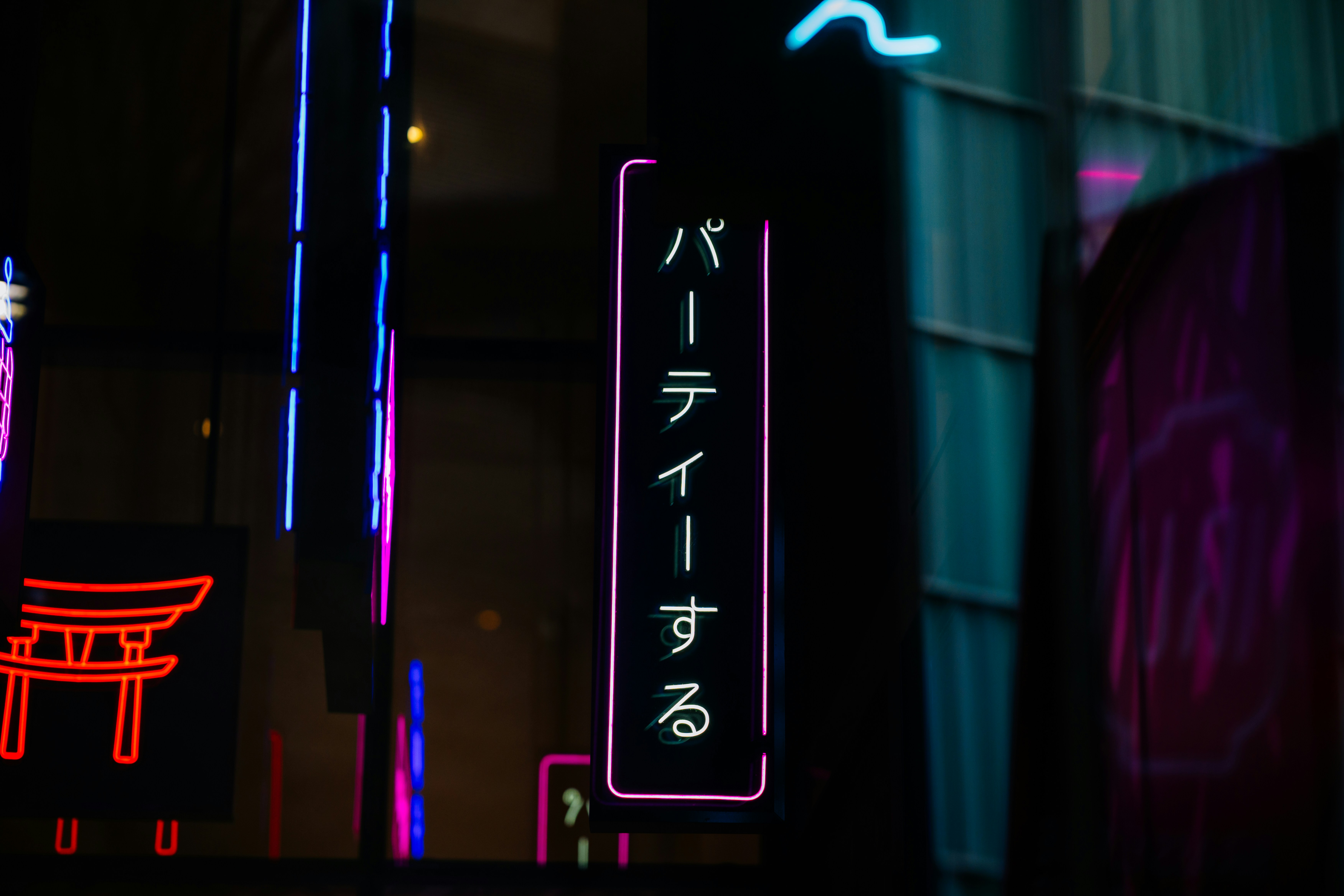 Photo by Mathias Reding with Sony Alpha 7 IV