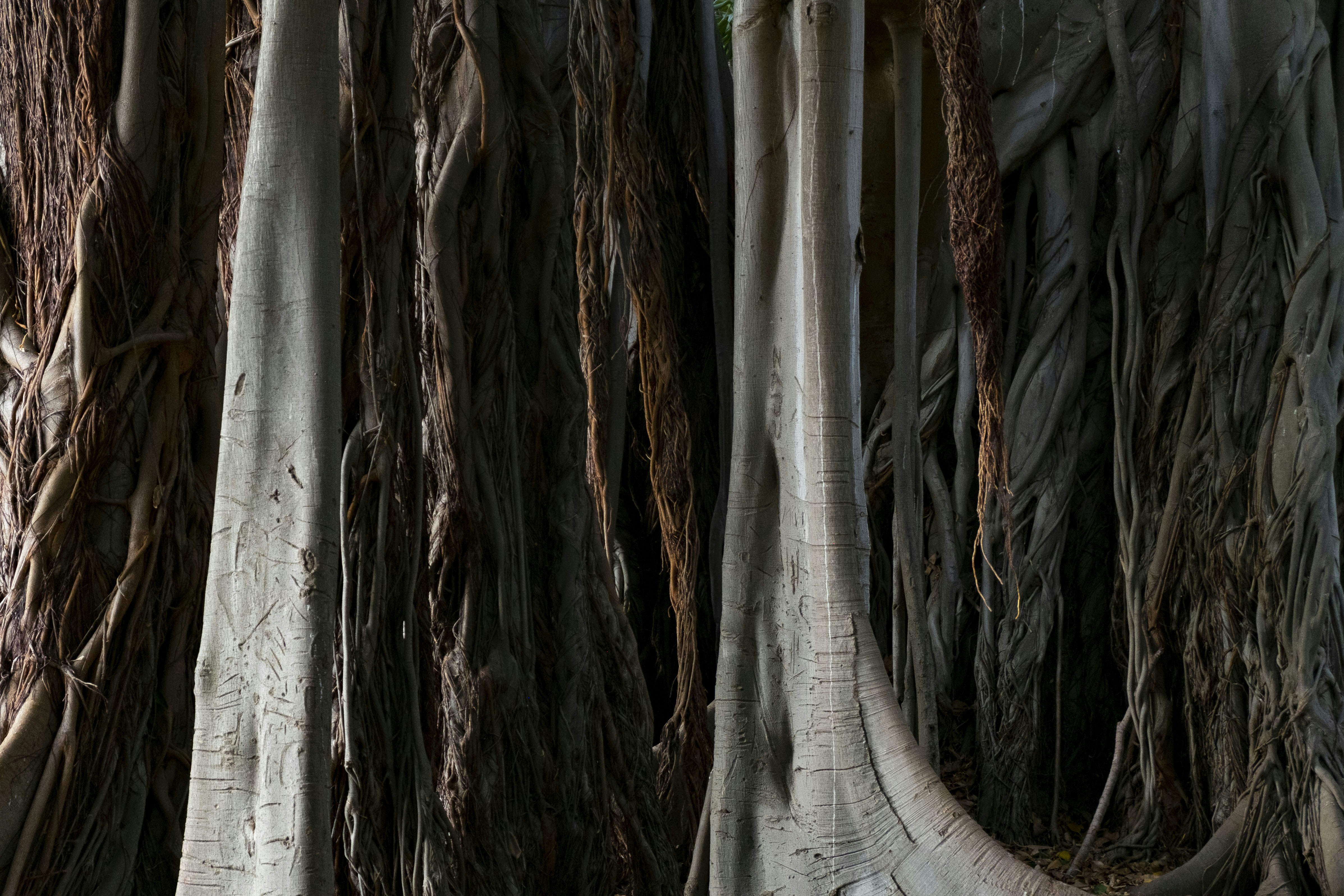 Photo by Quentin Baret with Fujifilm X-M1