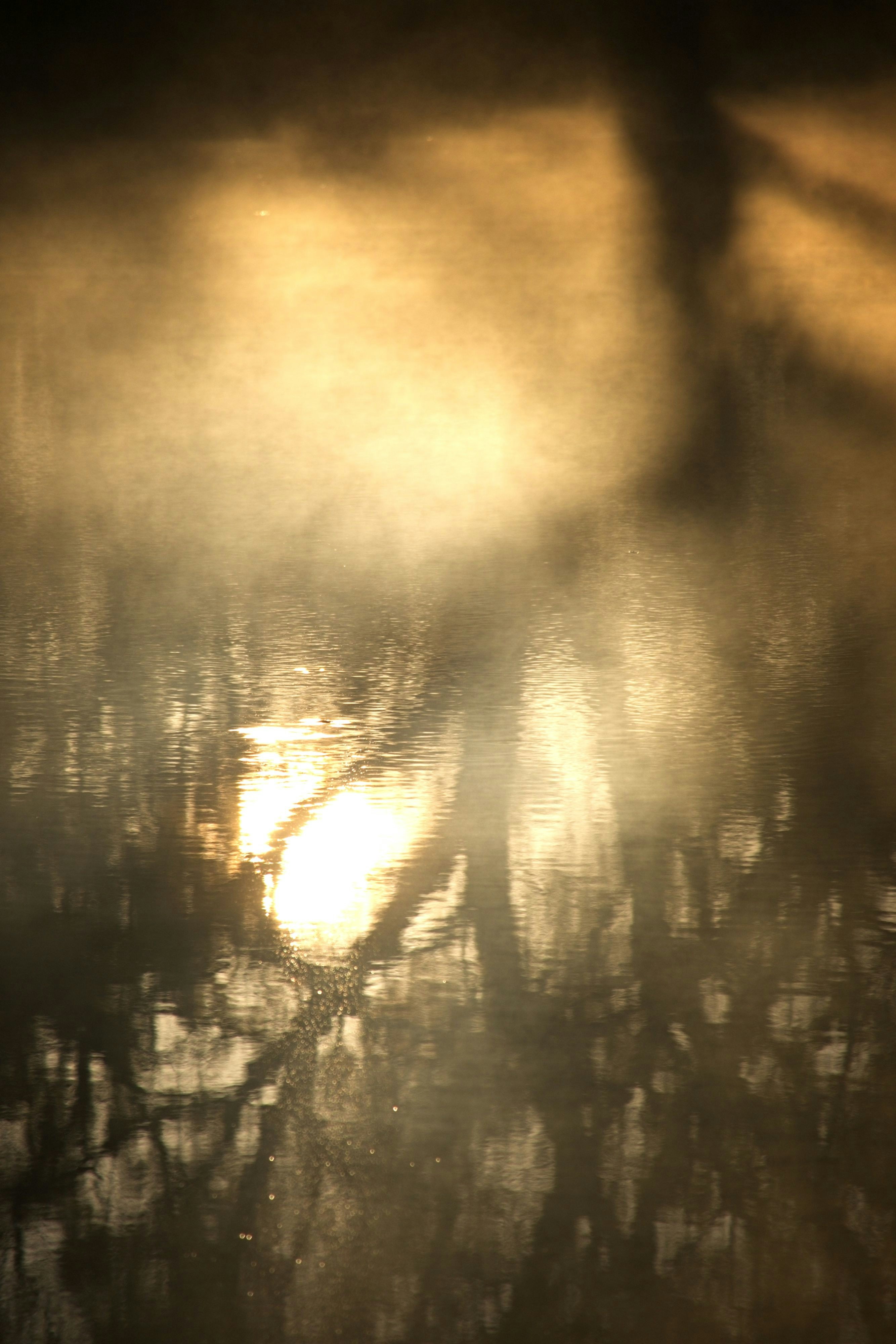 Gold Mist on a Quiet Lake