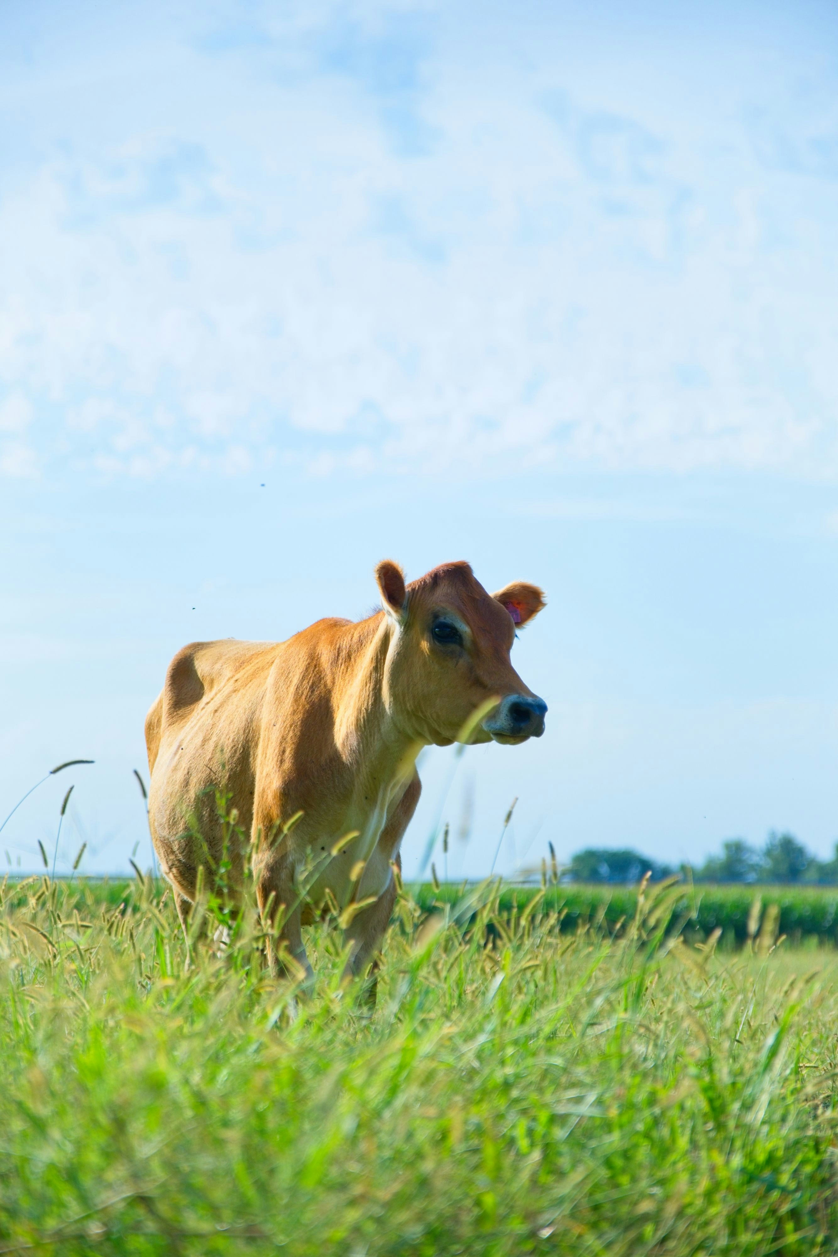 Photo by Noah Ridge with Fujifilm X-H2