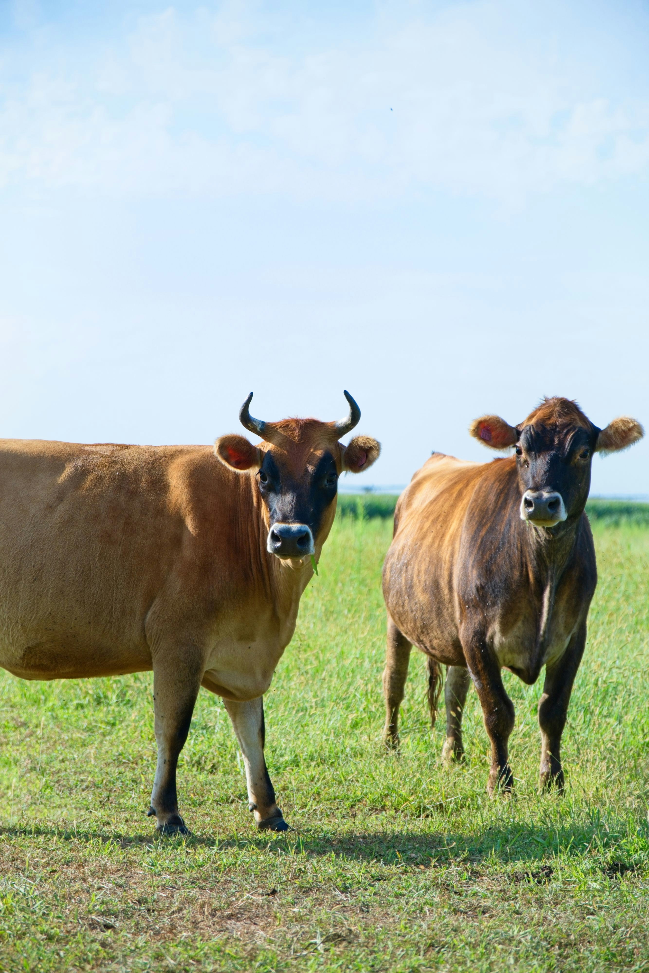 Photo by Noah Ridge with Fujifilm X-H2