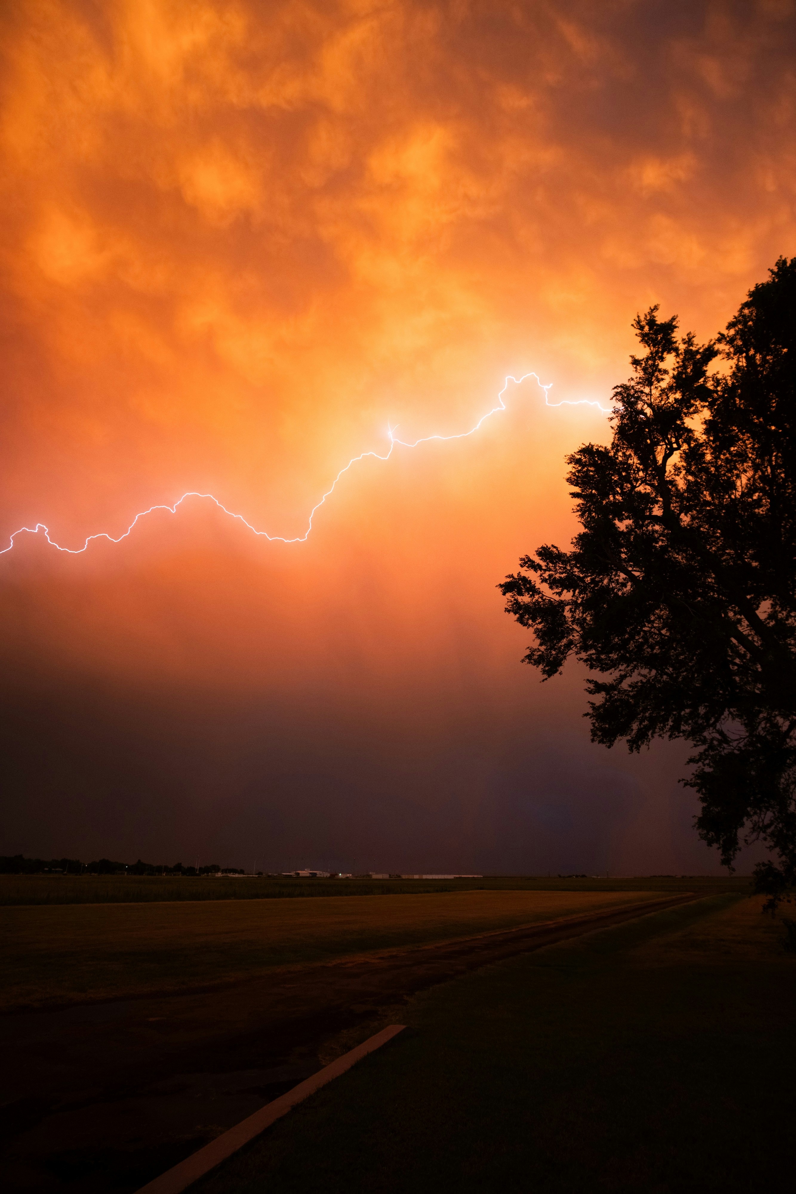 Lightning over a Lone Tree at Dusk
